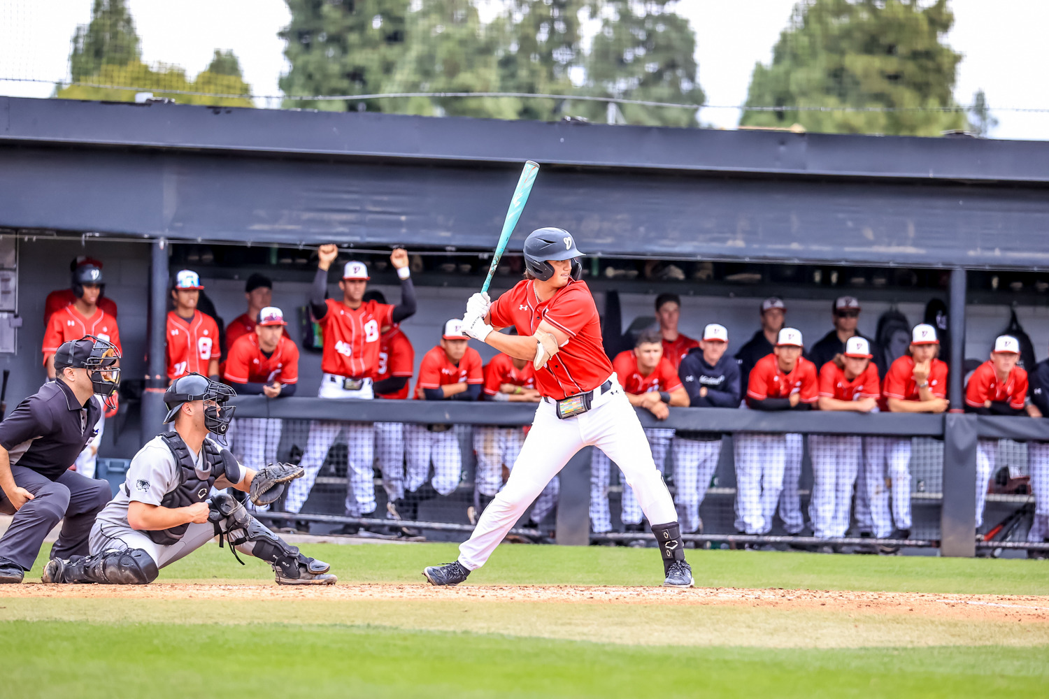 Conner Stewart - 2024 - Baseball - CSUN Athletics