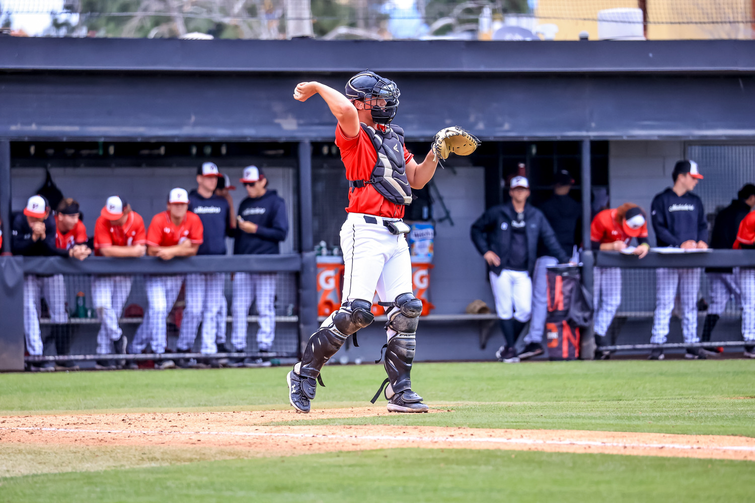 Conner Stewart - 2024 - Baseball - CSUN Athletics