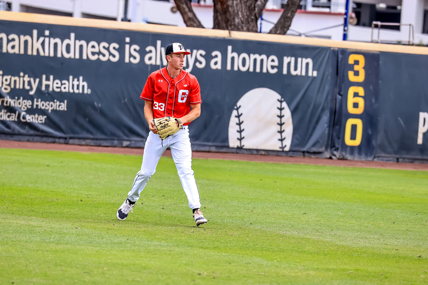 Kevin Fitzer - 2024 - Baseball - CSUN Athletics