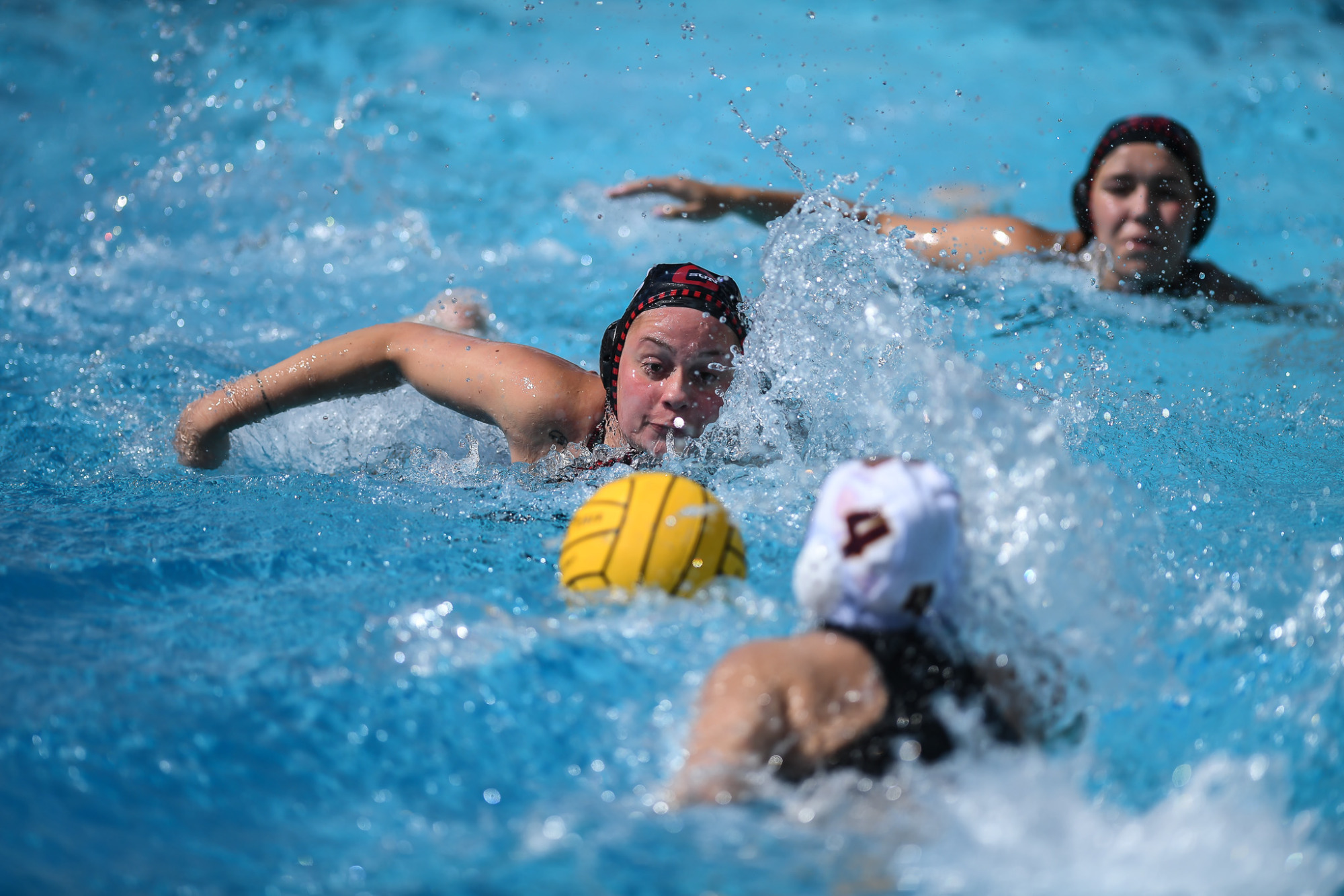 Anna Pal - 2024 - Women's Water Polo - CSUN Athletics