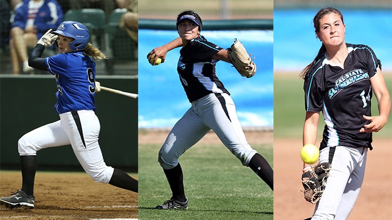 Nicole Nobbe - Softball - California State University of San Bernardino ...