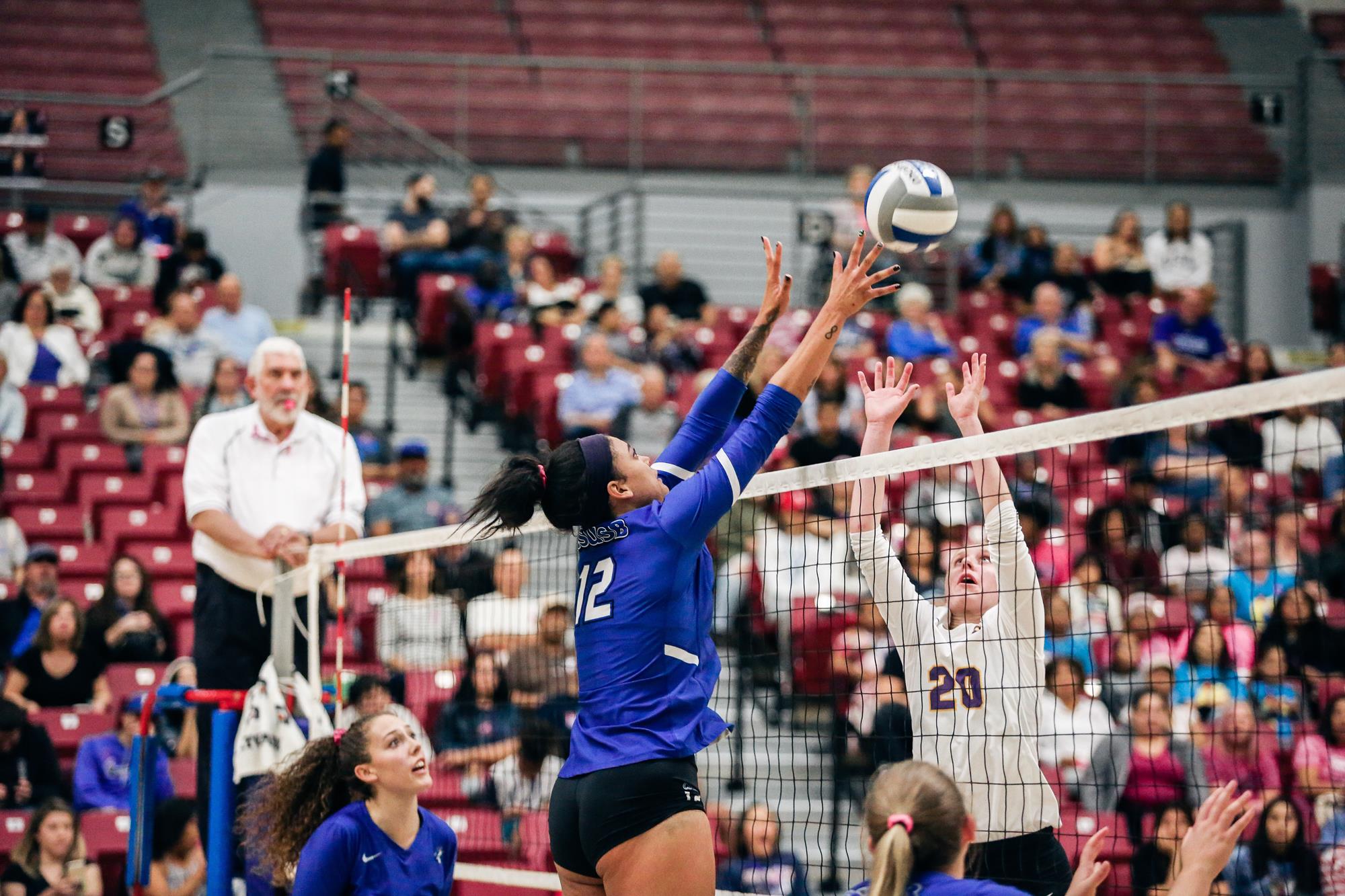 Sascha Dominique - Volleyball - California State University of San ...