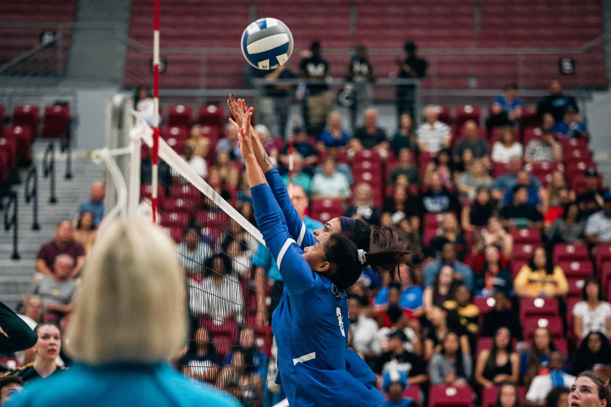Sascha Dominique - Volleyball - California State University of San ...
