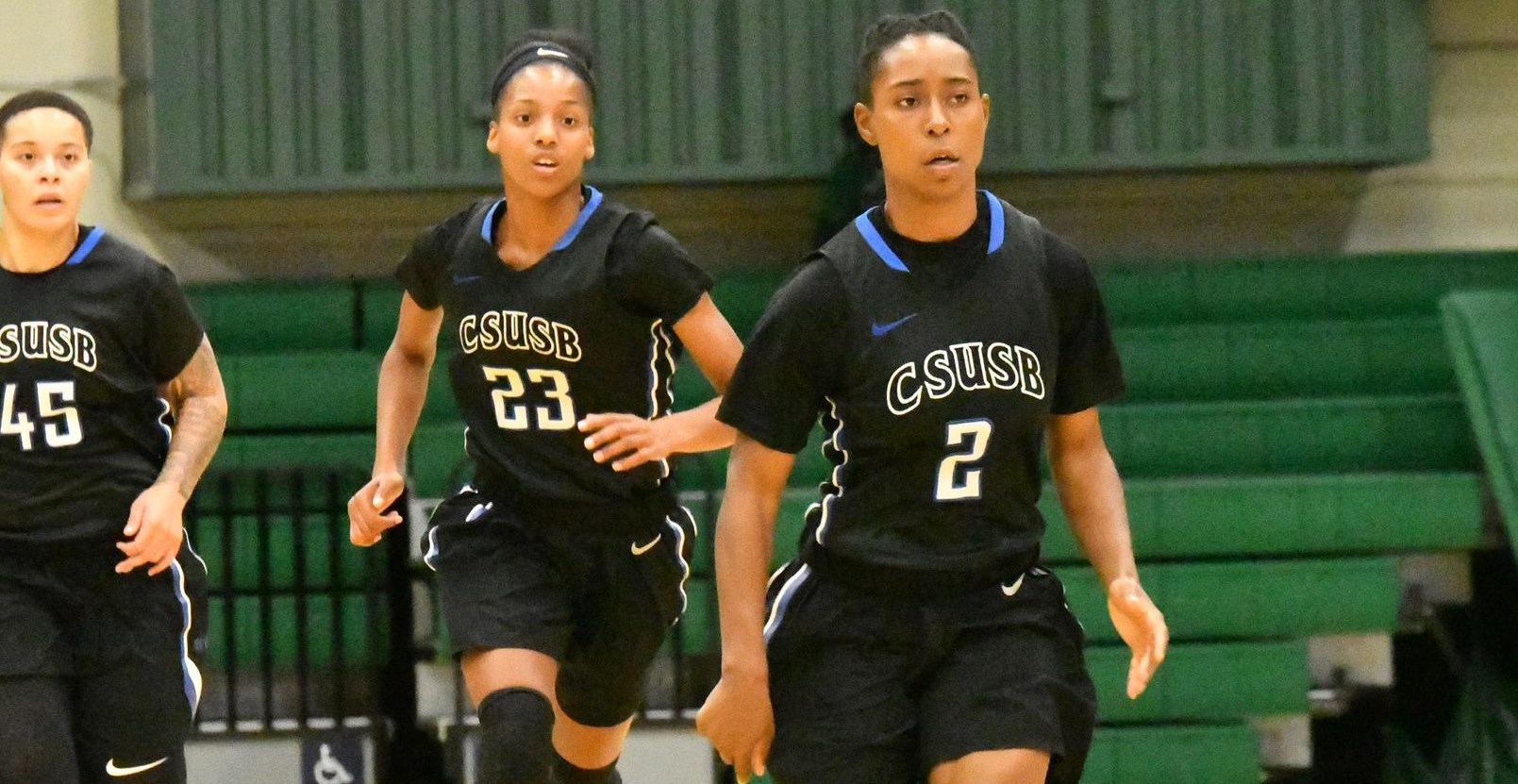 Tehya Burroughs - Women's Basketball - California State University of ...