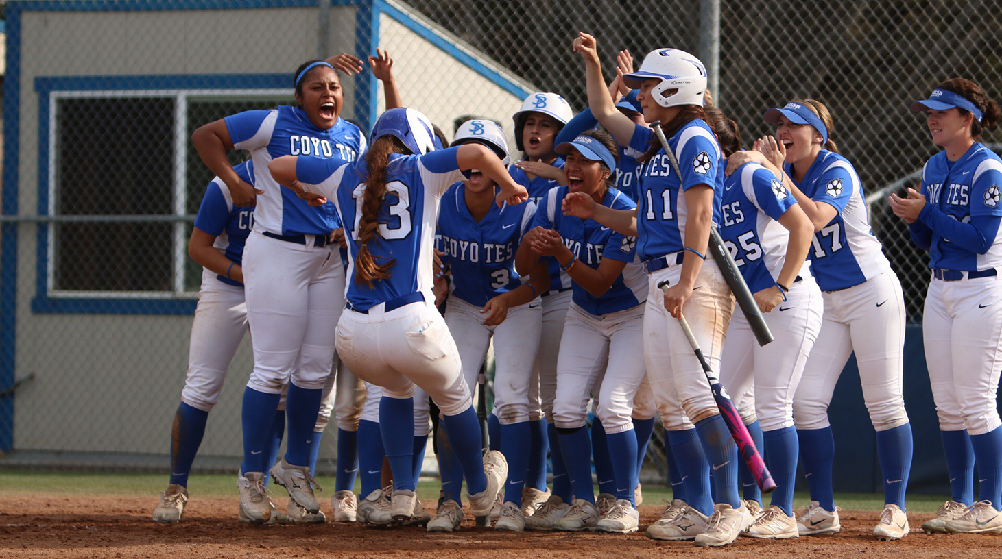 Dominique Walker - Softball - California State University of San ...