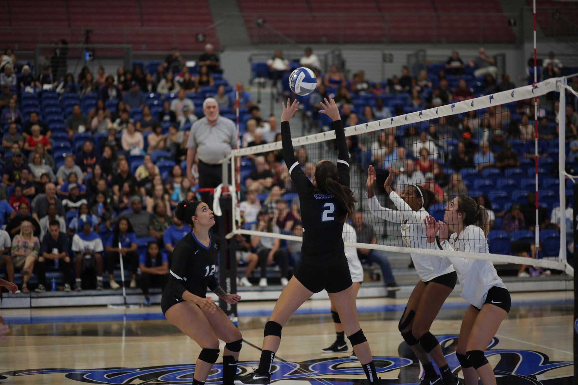 Sascha Dominique - Volleyball - California State University of San ...
