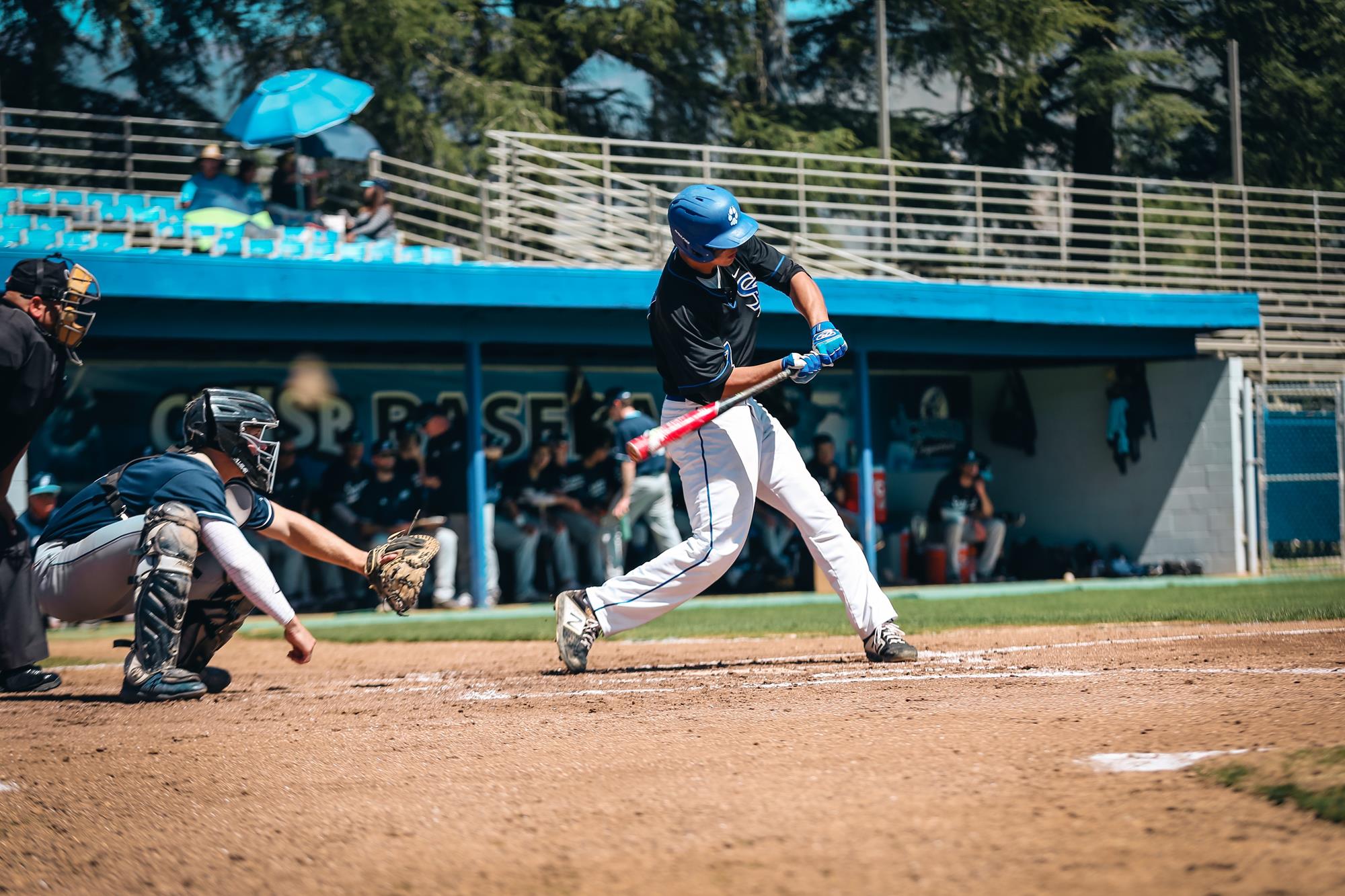 Richard Castro - Baseball - California State University of San ...