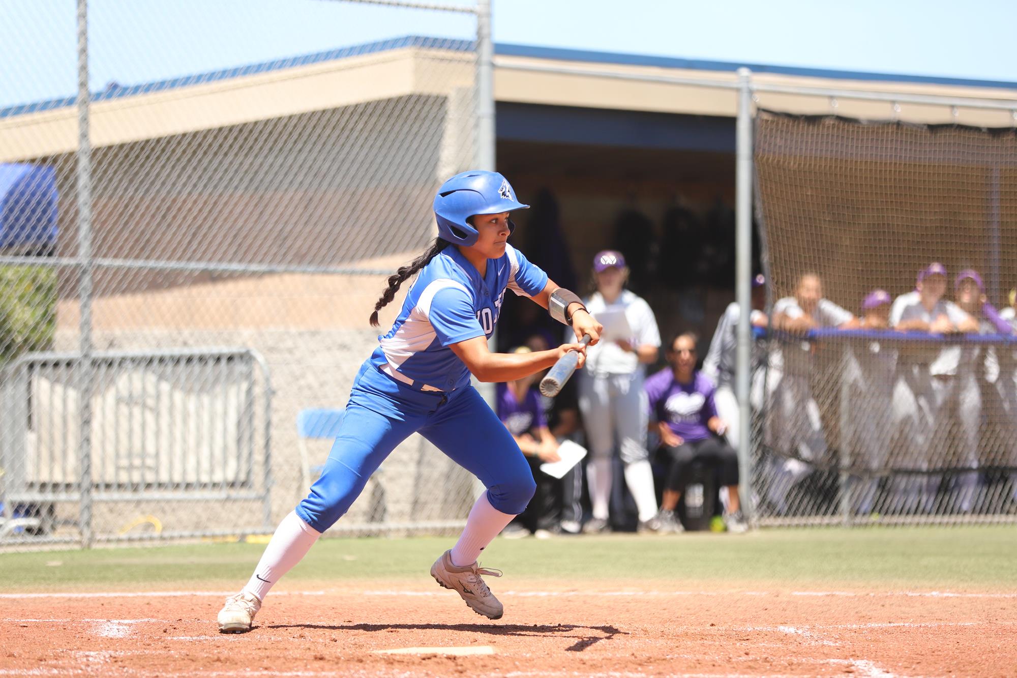 Claudia Lopez - Softball - California State University of San ...