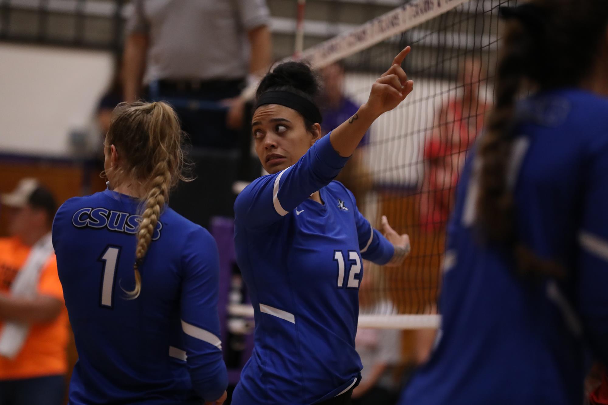 Sascha Dominique - Volleyball - California State University of San ...