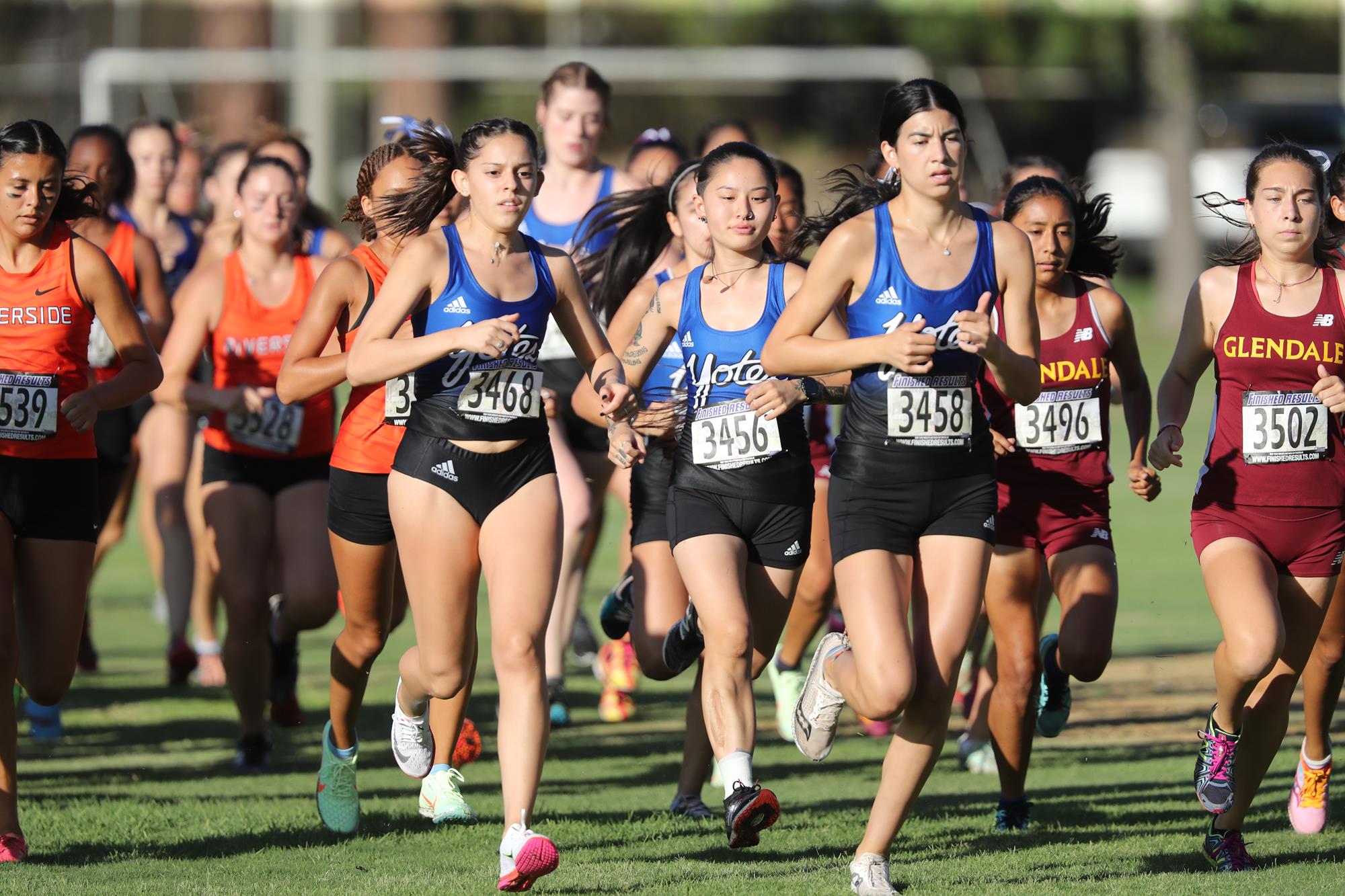 Marissa Angulo - Women's Cross Country - California State University of ...