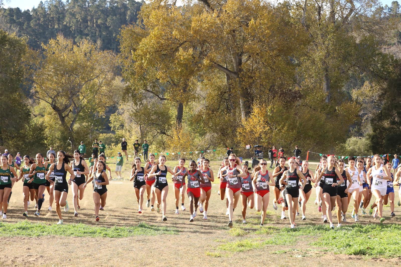 Alexis Wallace - Women's Cross Country - California State University of ...
