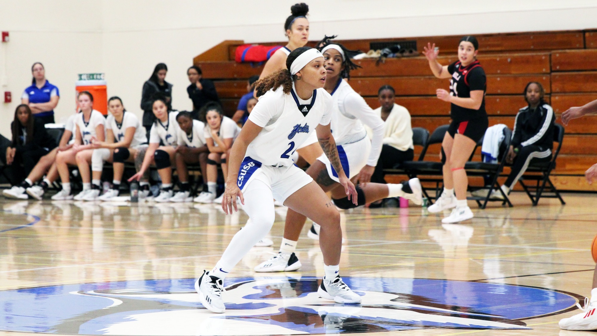 Battle of the Packs, Yotes Top the Wolves in Final Game of 2022 ...