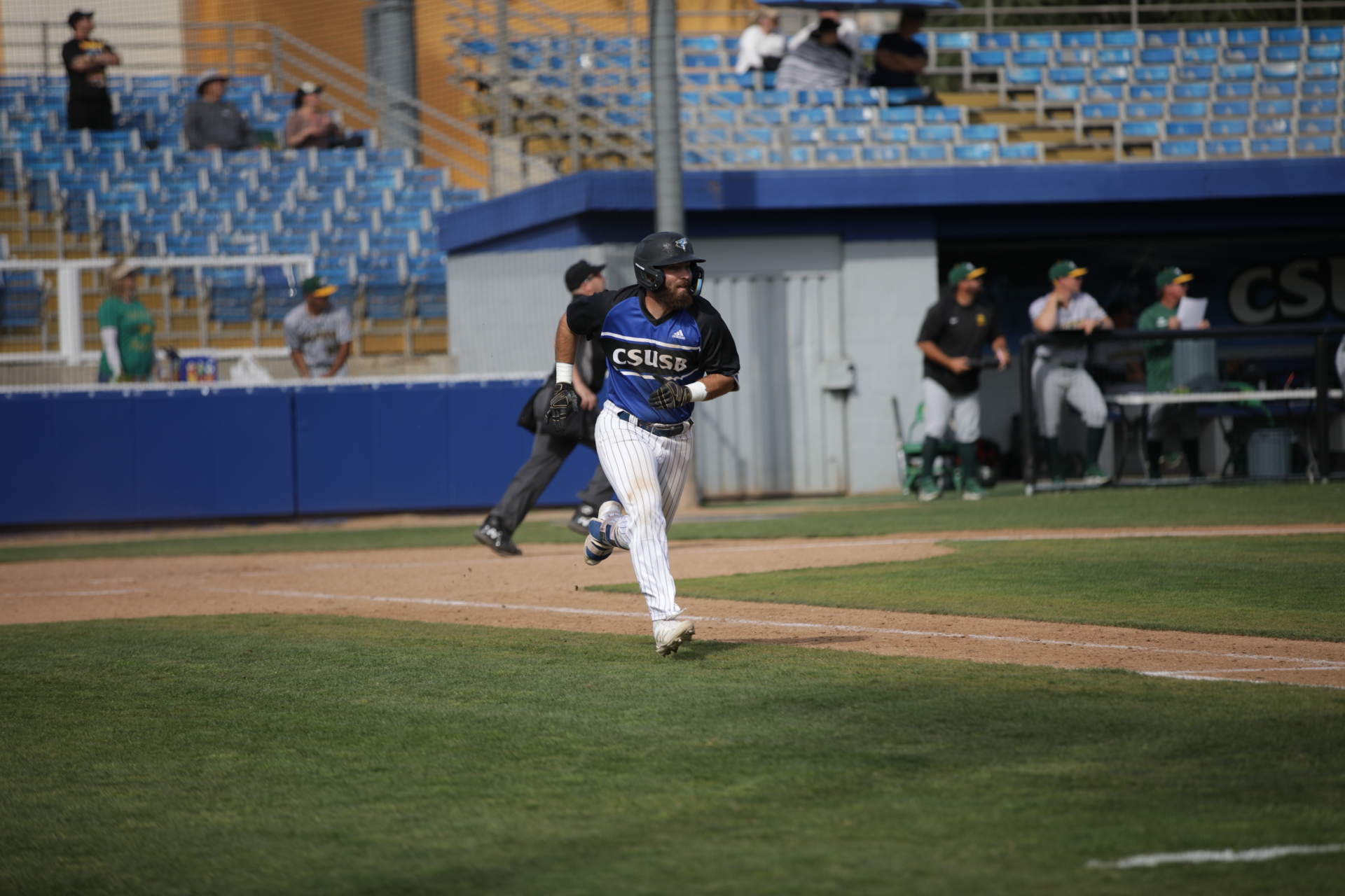 Ruiz and Csakan Hit Grand Slams Against Warriors - California State ...