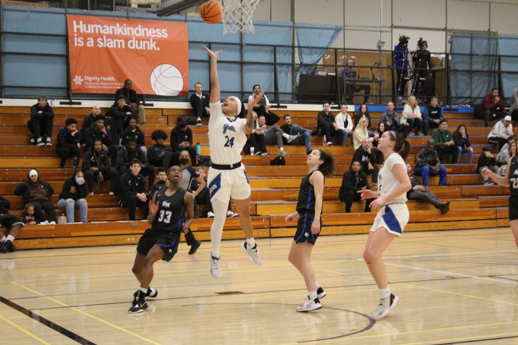 Yotes Fall to Nationally Ranked Cougars - California State University ...