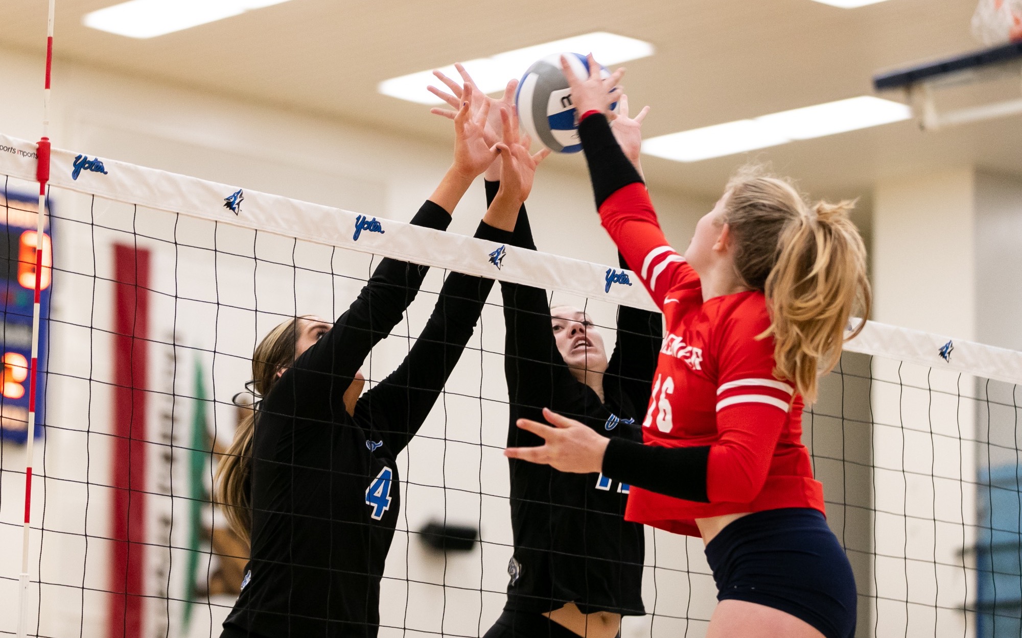 Marlee Nunley - Volleyball - California State University of San ...