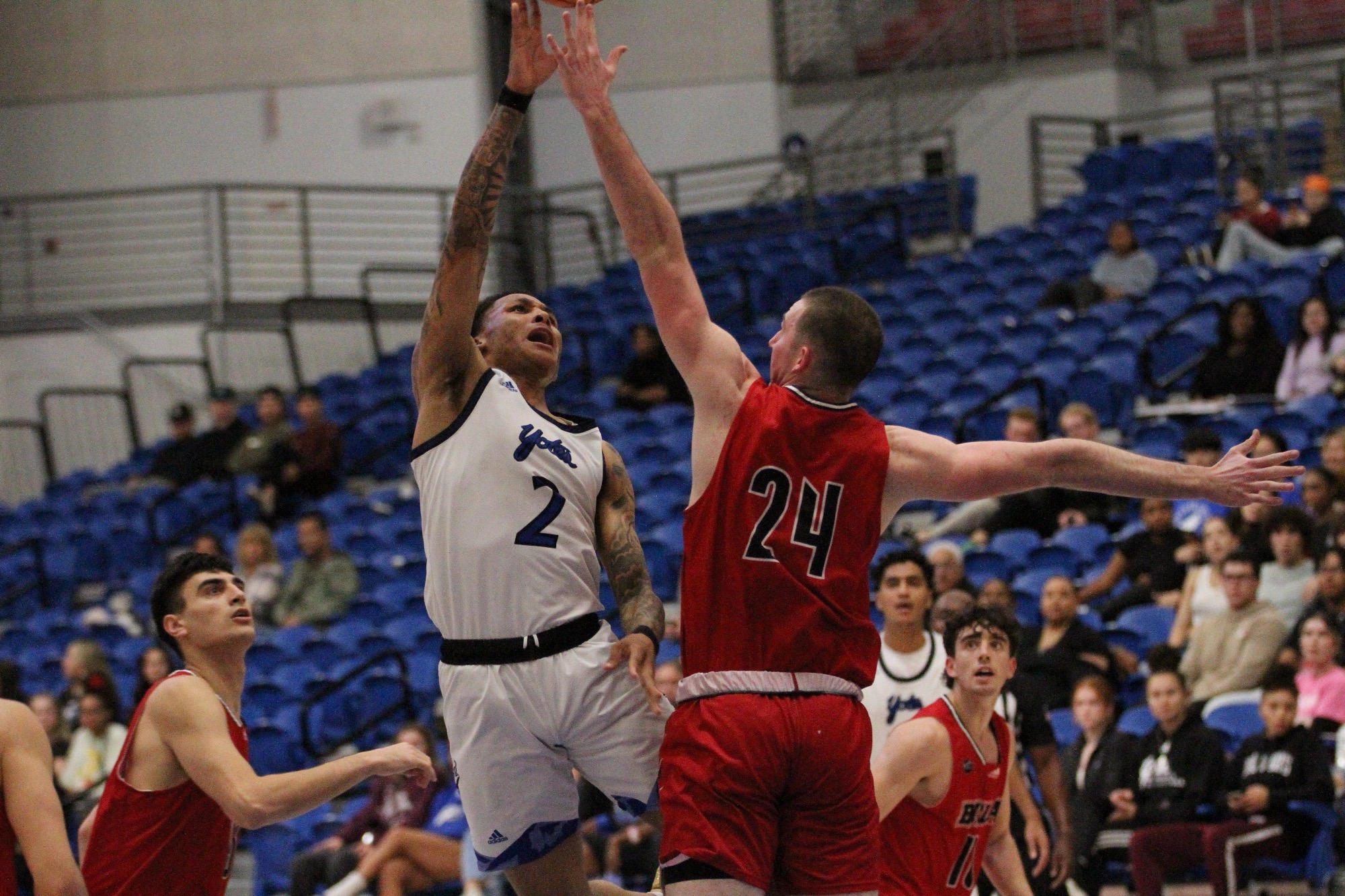 Chris Mitchell - Men's Basketball - California State University of San ...