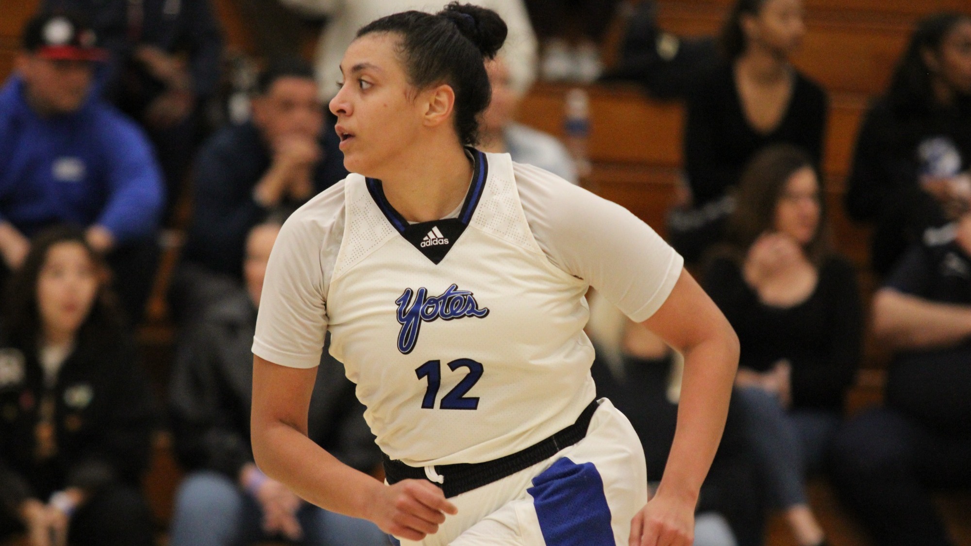 Yotes Split Final Conference Road Trip - California State University of ...