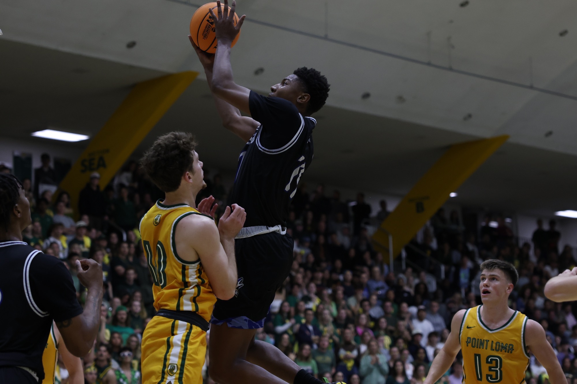 Mahmoud Fofana - Men's Basketball - California State University of San ...