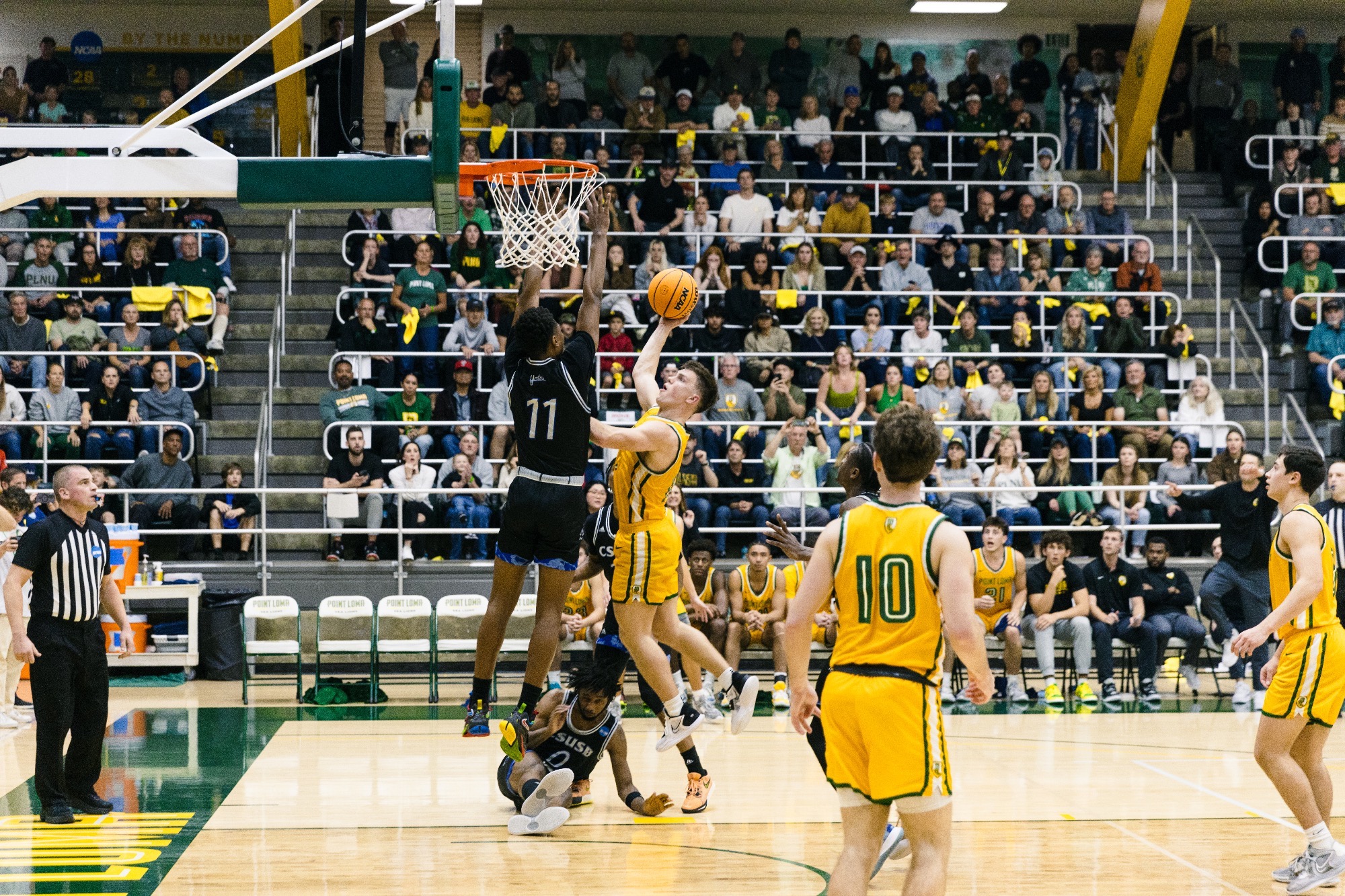 Mahmoud Fofana - Men's Basketball - California State University of San ...