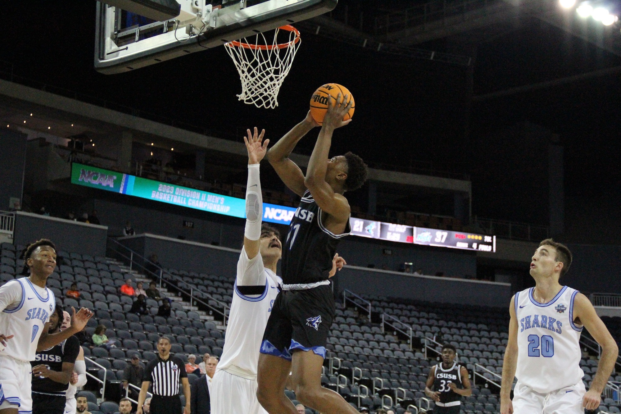 Mahmoud Fofana - Men's Basketball - California State University of San ...