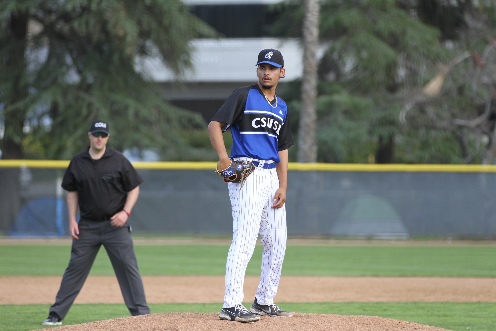 Chris Hernandez - Baseball - California State University of San ...