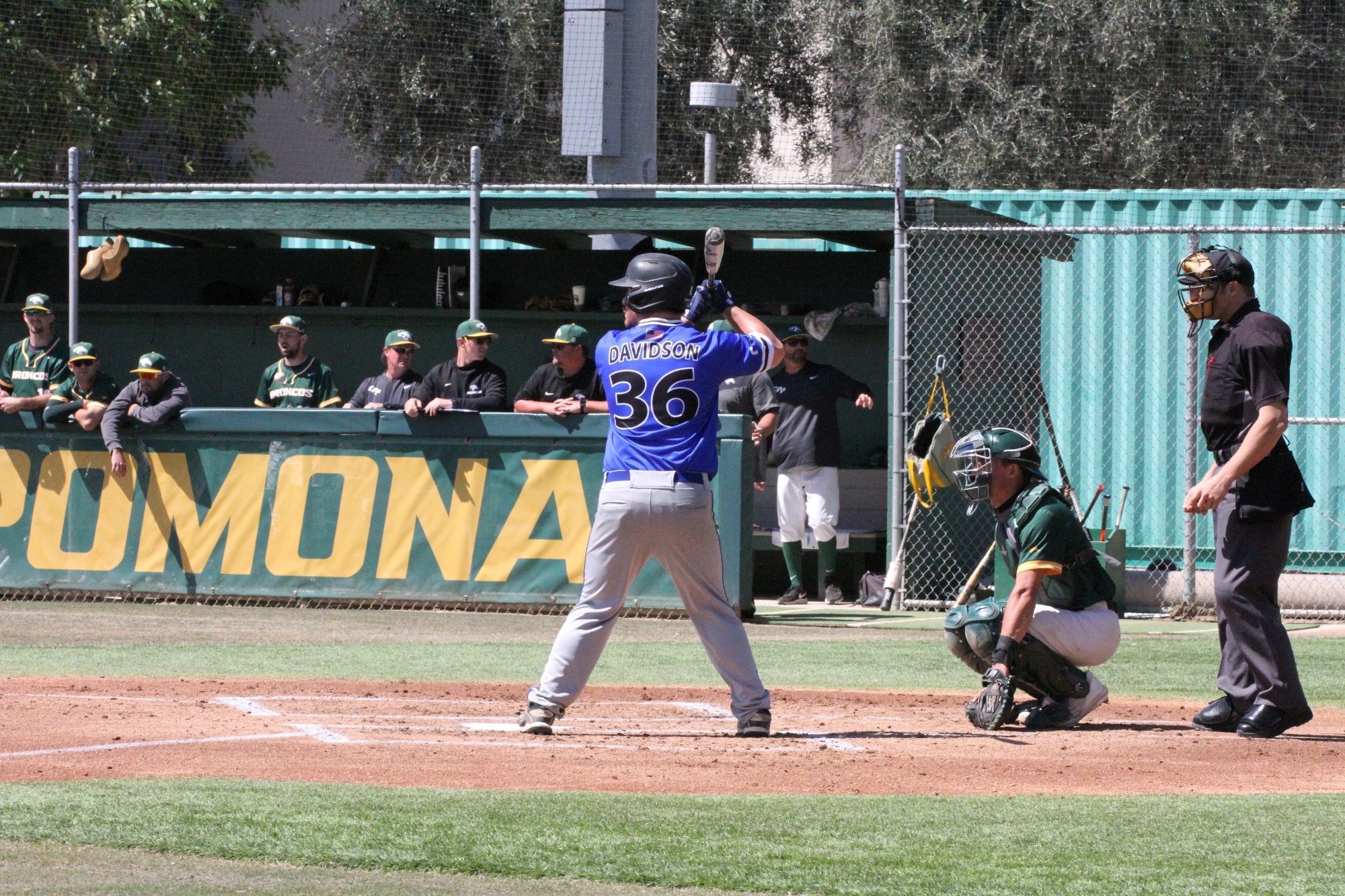 Ben Davidson - Baseball - California State University of San Bernardino ...