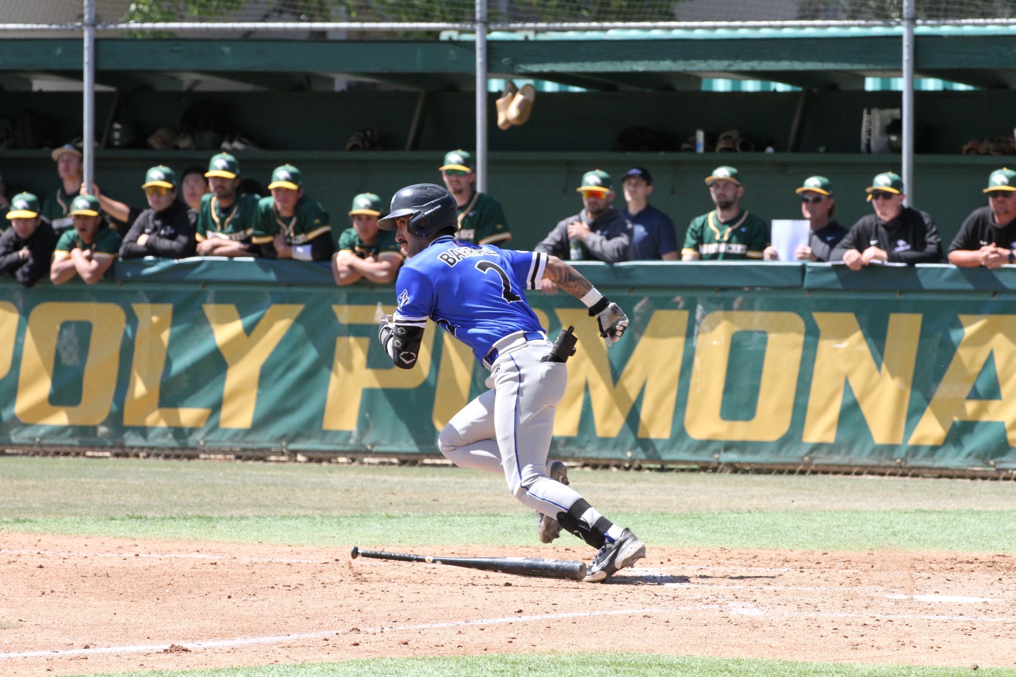 AJ Barraza - Baseball - California State University of San Bernardino ...
