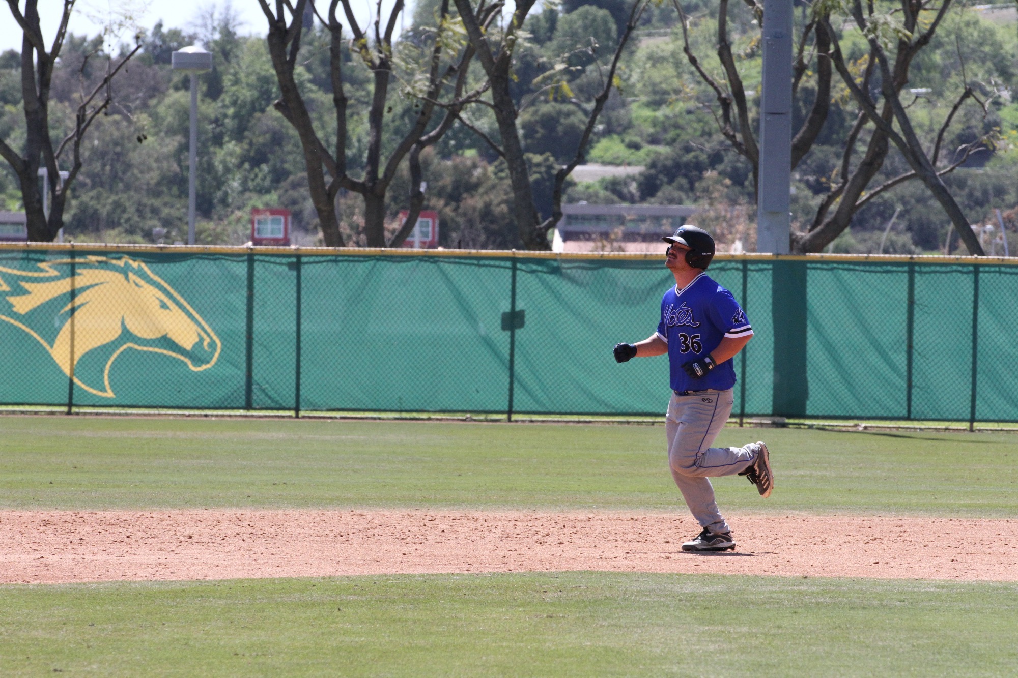 Ben Davidson - Baseball - California State University of San Bernardino ...