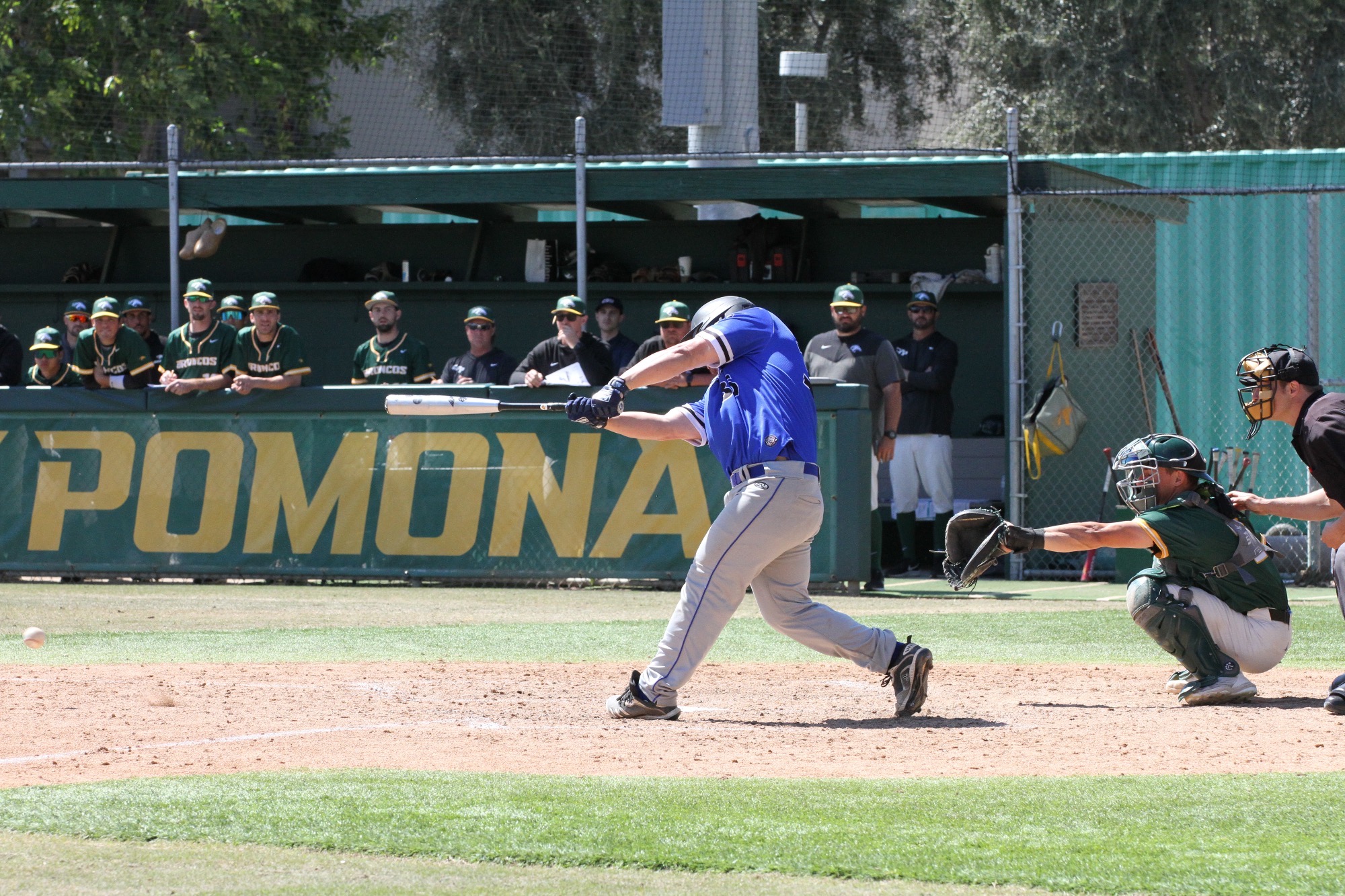 Ben Davidson - Baseball - California State University of San Bernardino ...