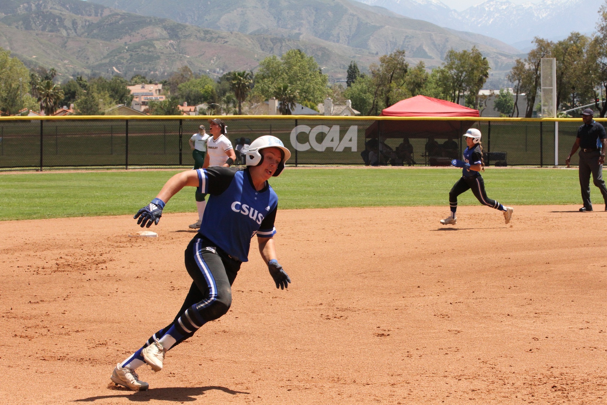 Hayden Greene - Softball - California State University of San ...