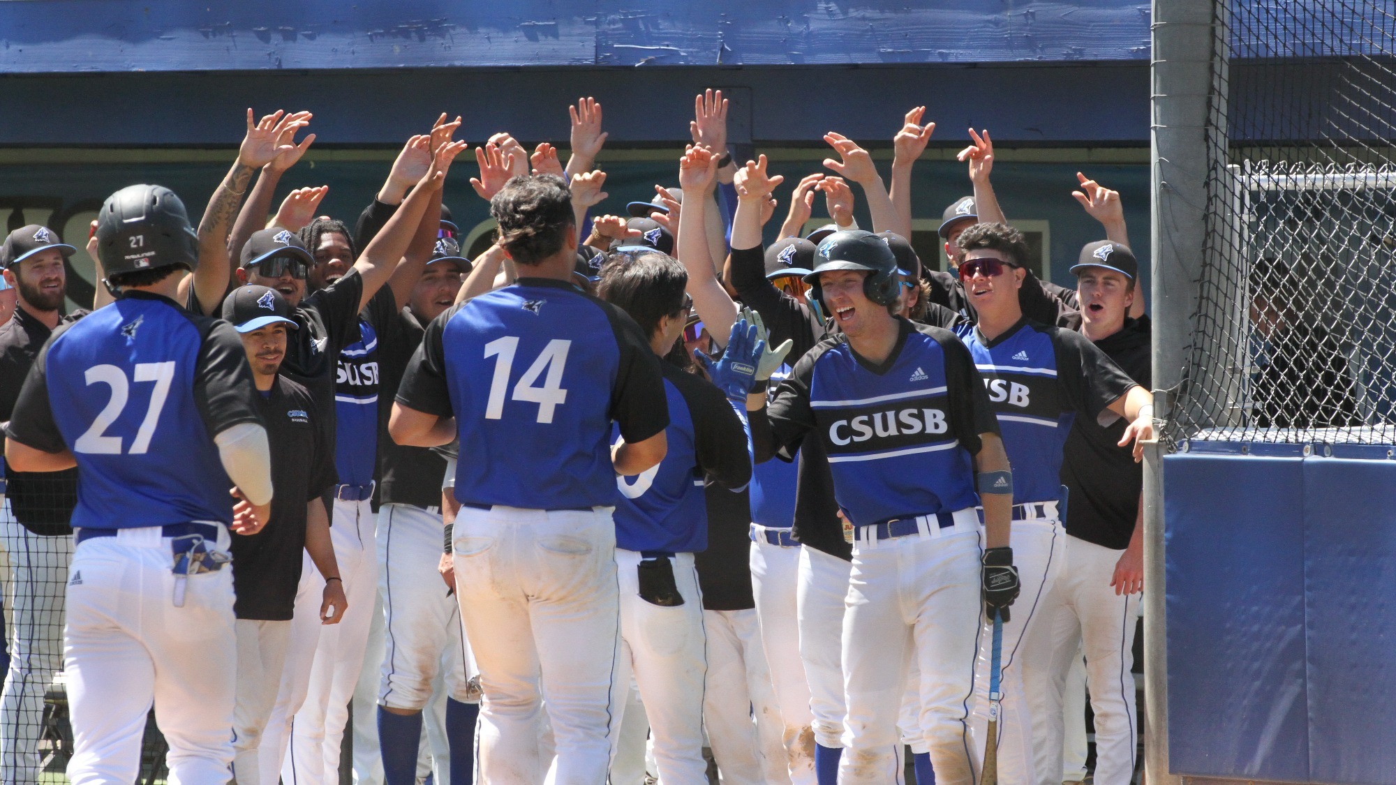 No. 7 Yotes Pick Up Series Win in Hayward - California State University ...