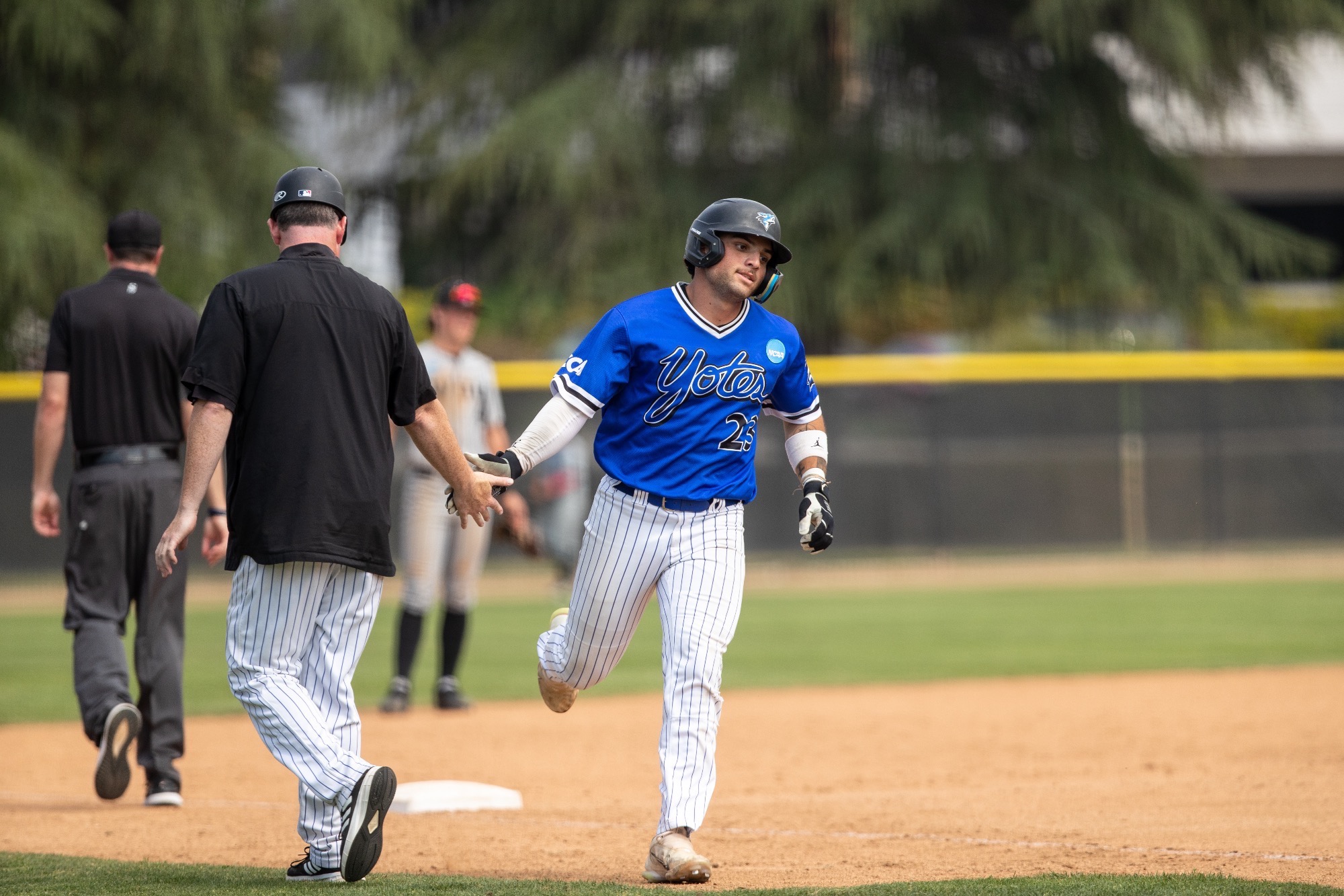 DeShawn Johnson - Baseball - California State University of San ...