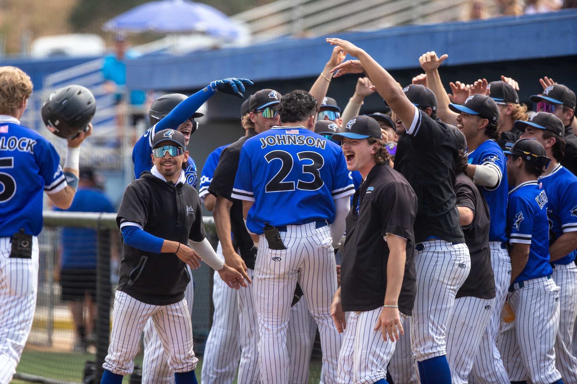 DeShawn Johnson - Baseball - California State University of San ...