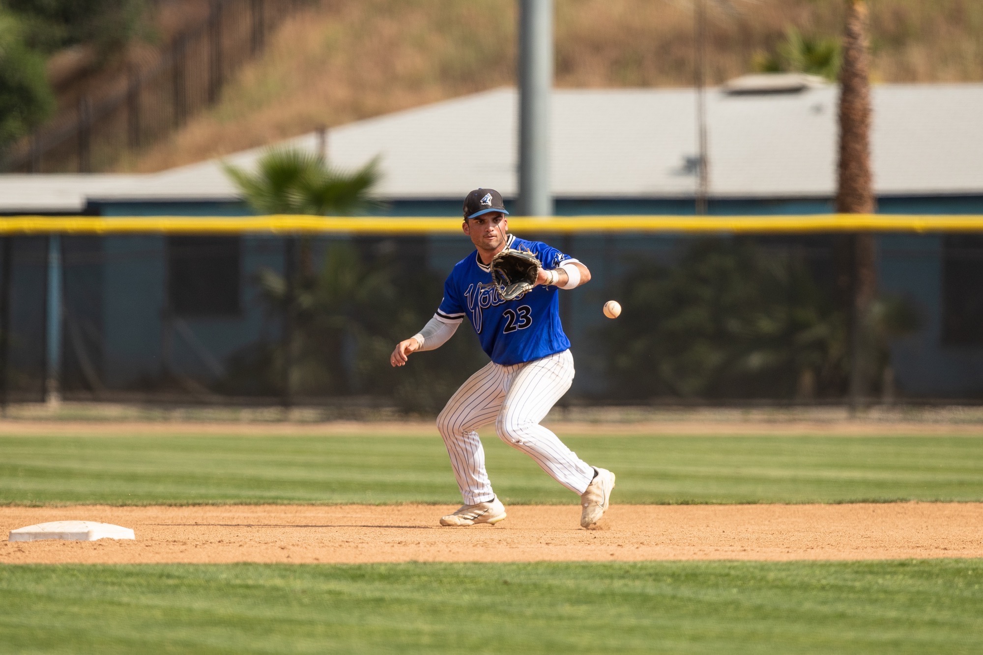 DeShawn Johnson - Baseball - California State University of San ...