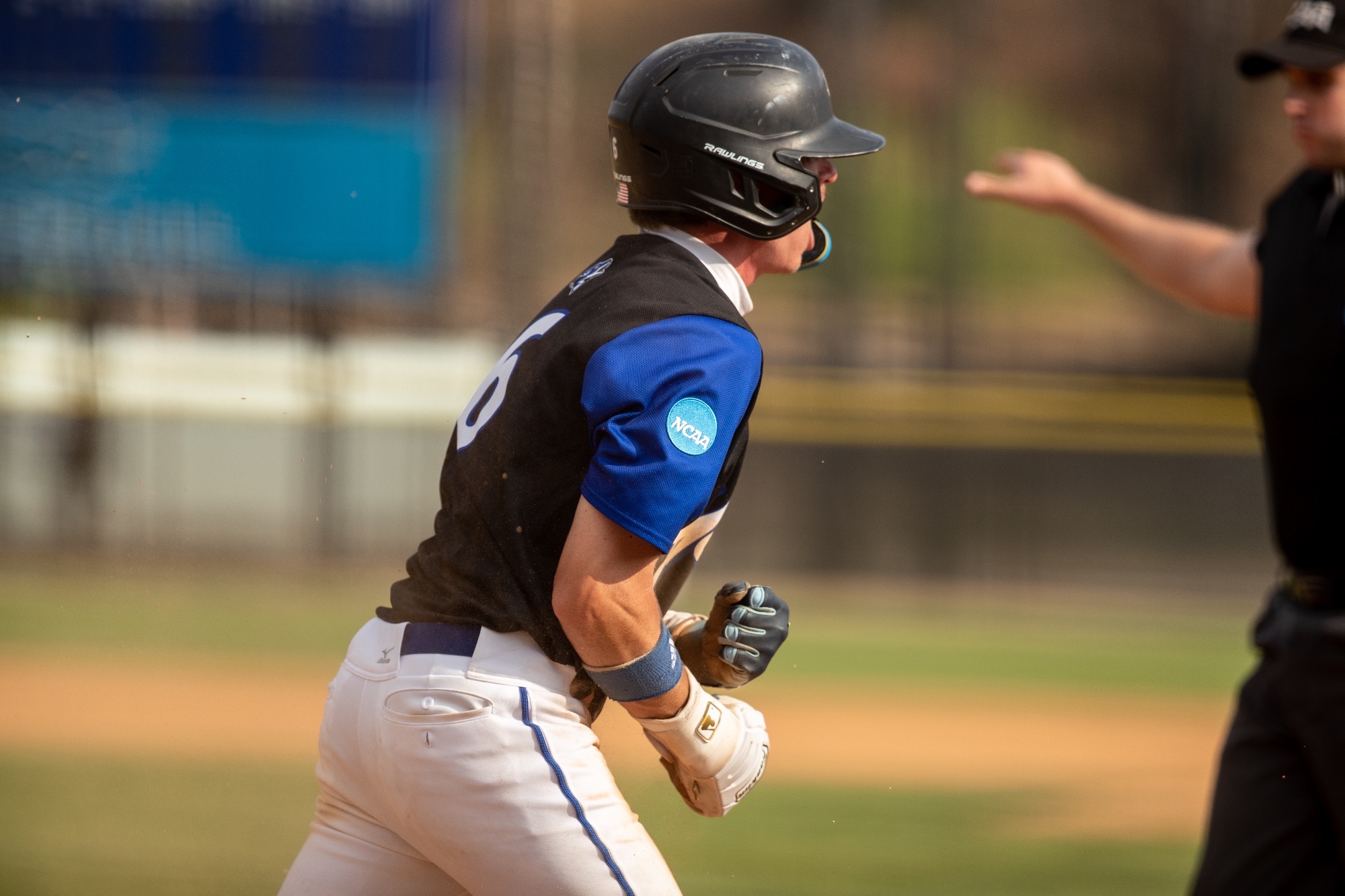 Derek Bogh - Baseball - California State University of San Bernardino ...