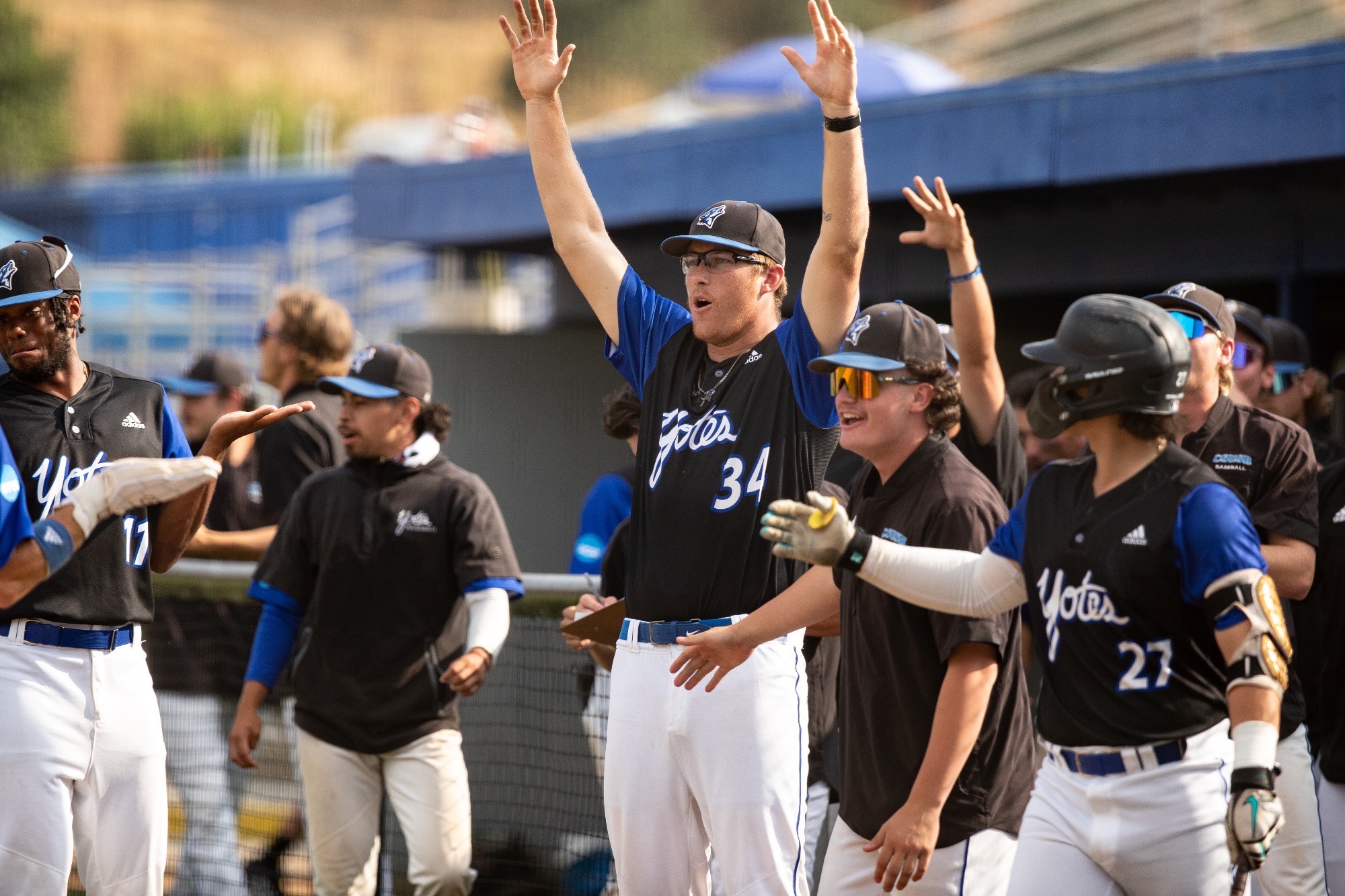 Nick Schoonover - Baseball - California State University of San ...