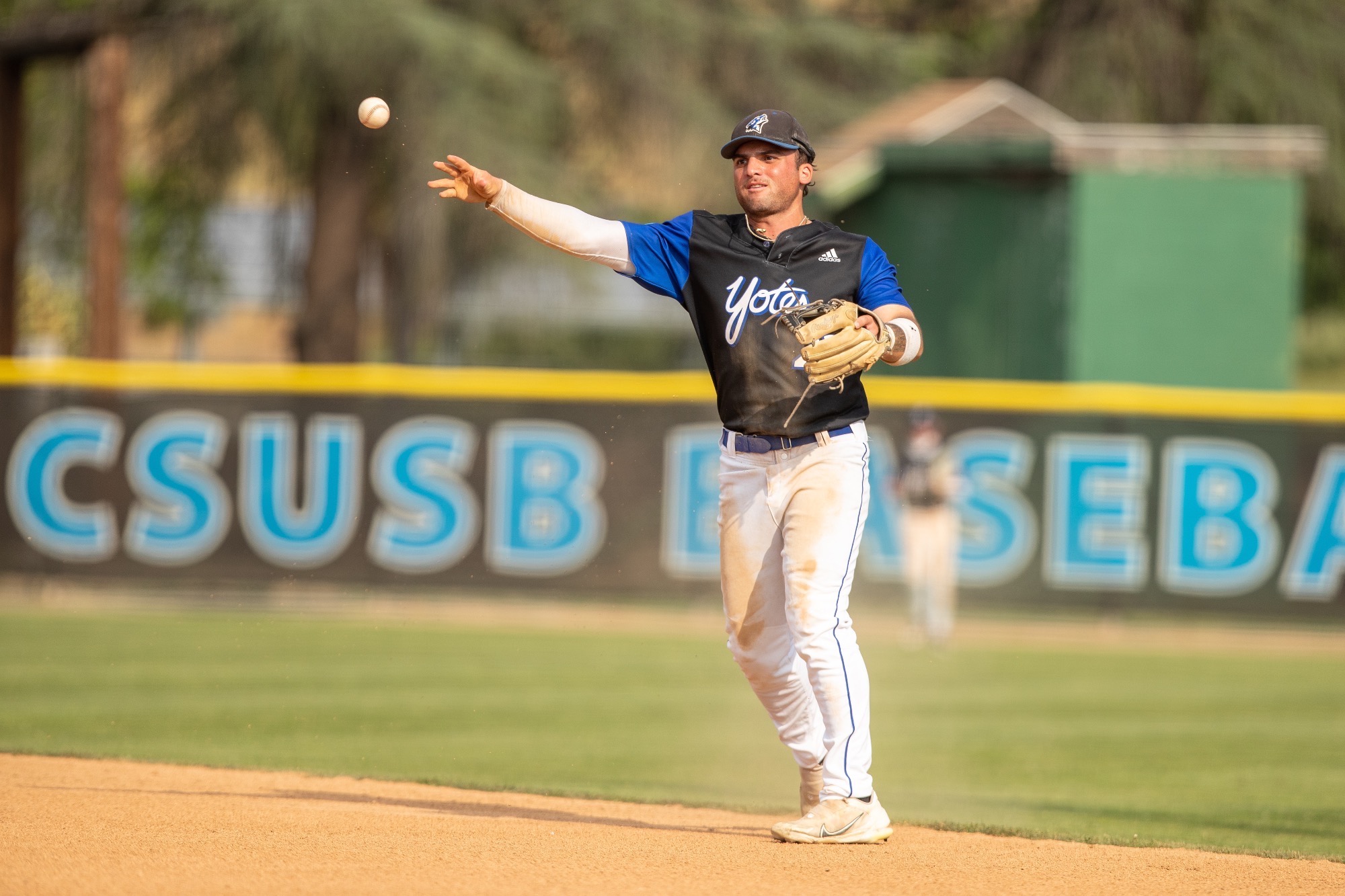 DeShawn Johnson - Baseball - California State University of San ...