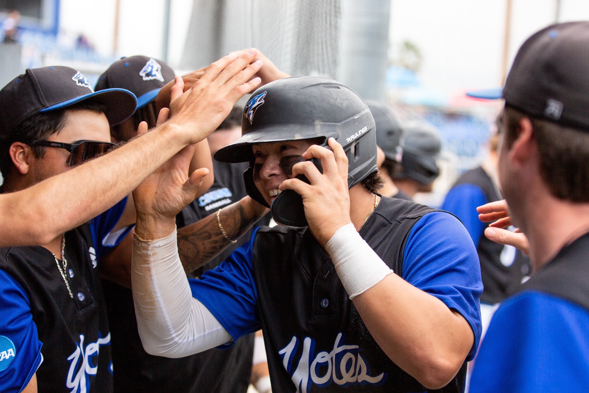 Giovanni Del Negro - Baseball - California State University of San ...