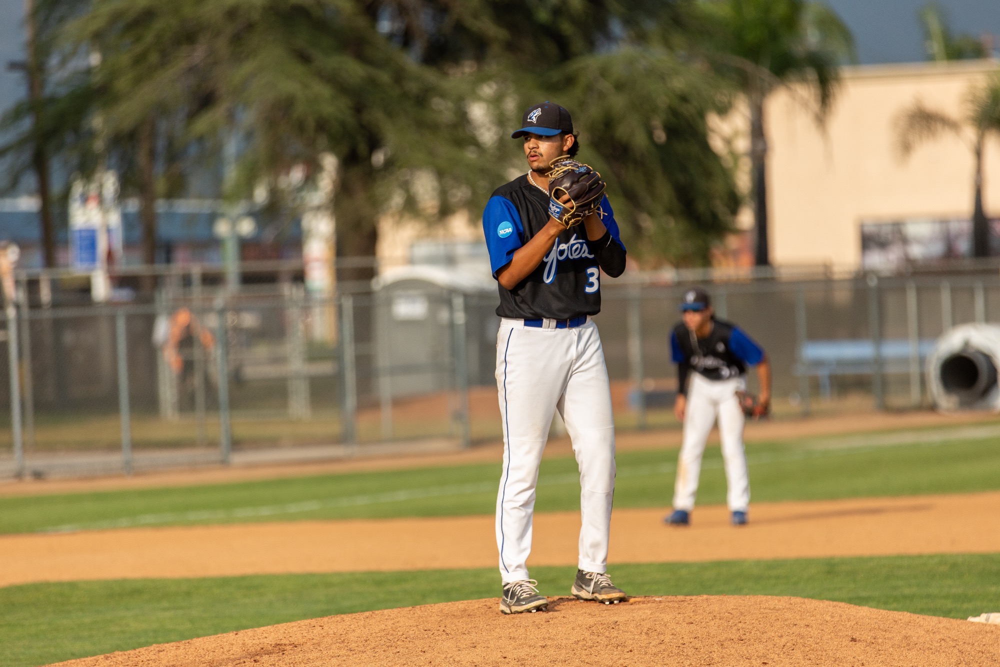 Chris Hernandez - Baseball - California State University of San ...