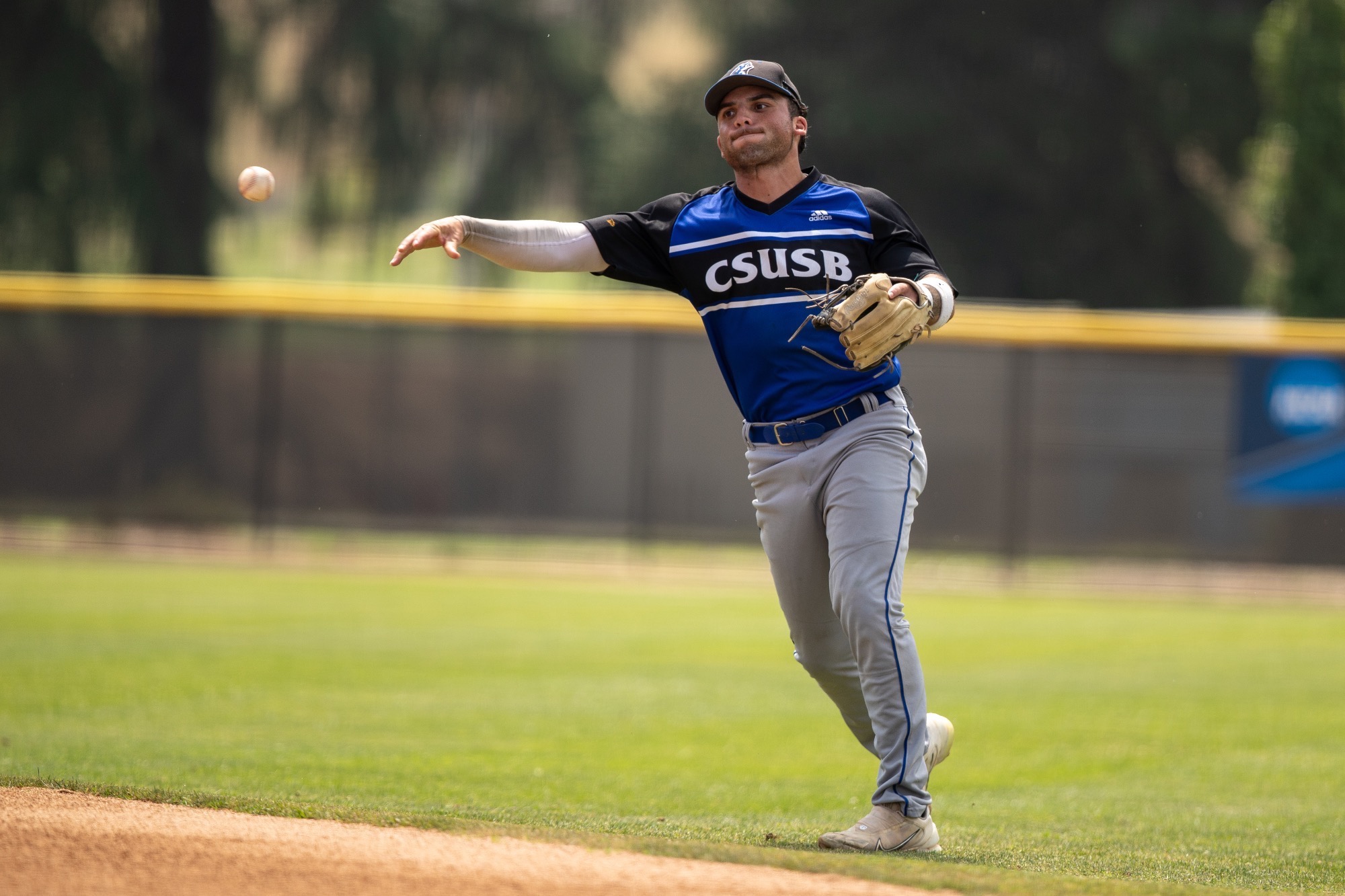 DeShawn Johnson - Baseball - California State University of San ...
