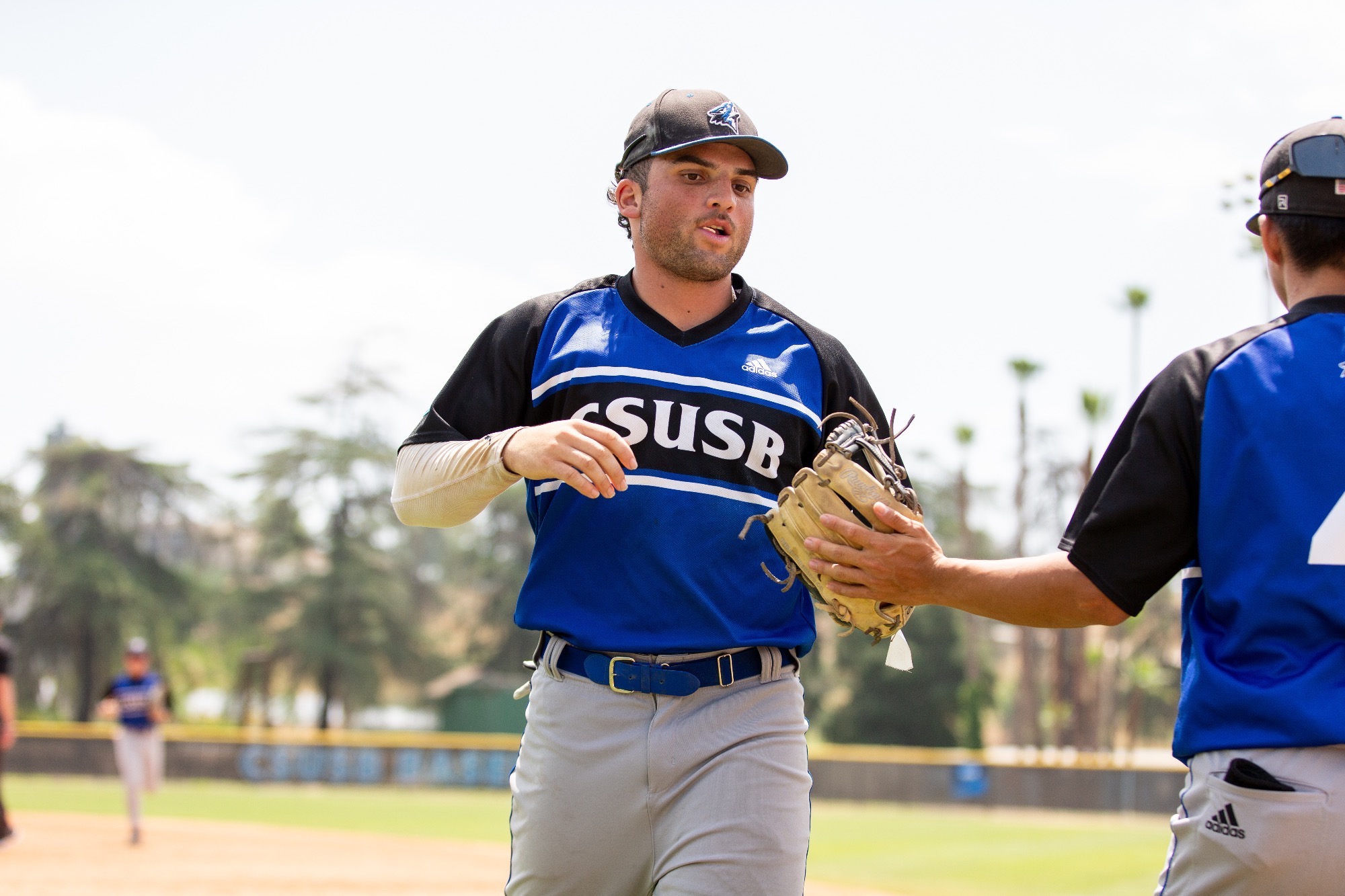 DeShawn Johnson - Baseball - California State University of San ...