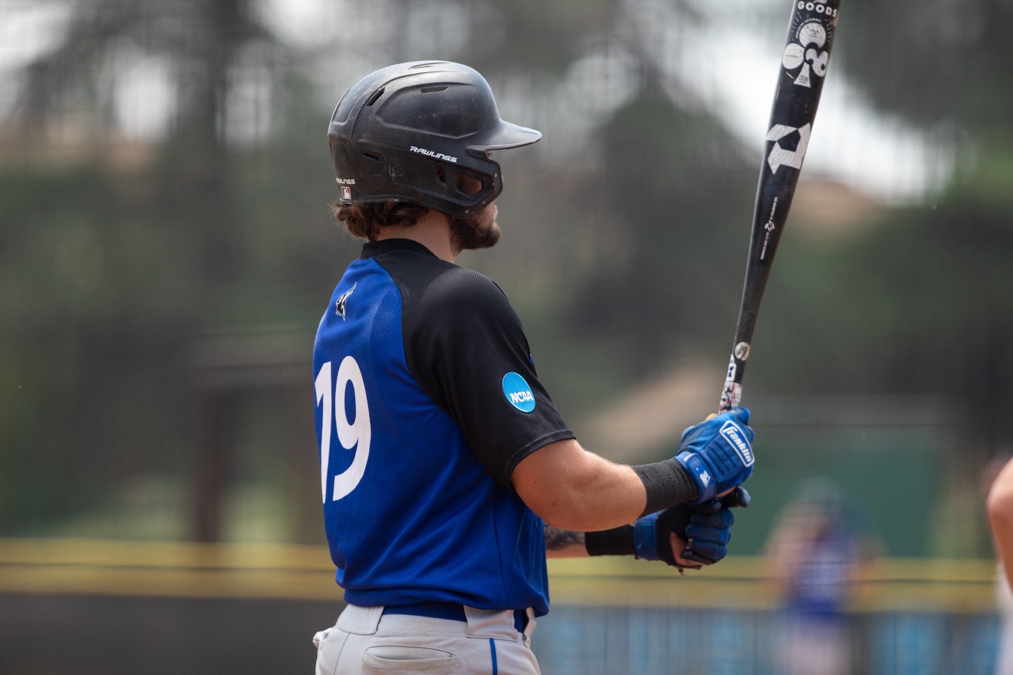 Jake Borst - Baseball - California State University of San Bernardino ...