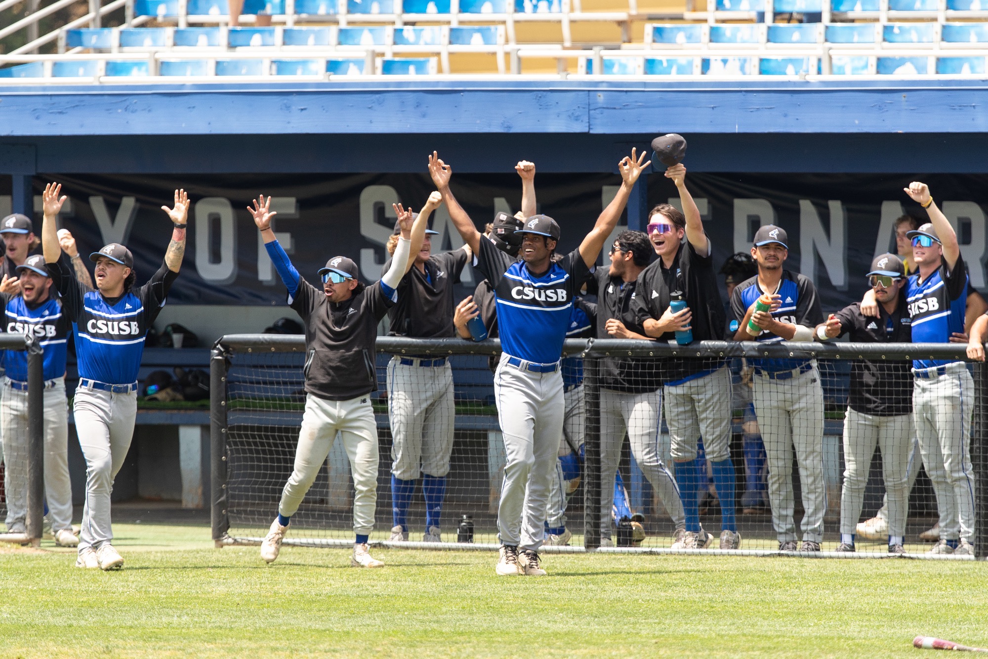 Austyn Coleman - Baseball - California State University of San ...