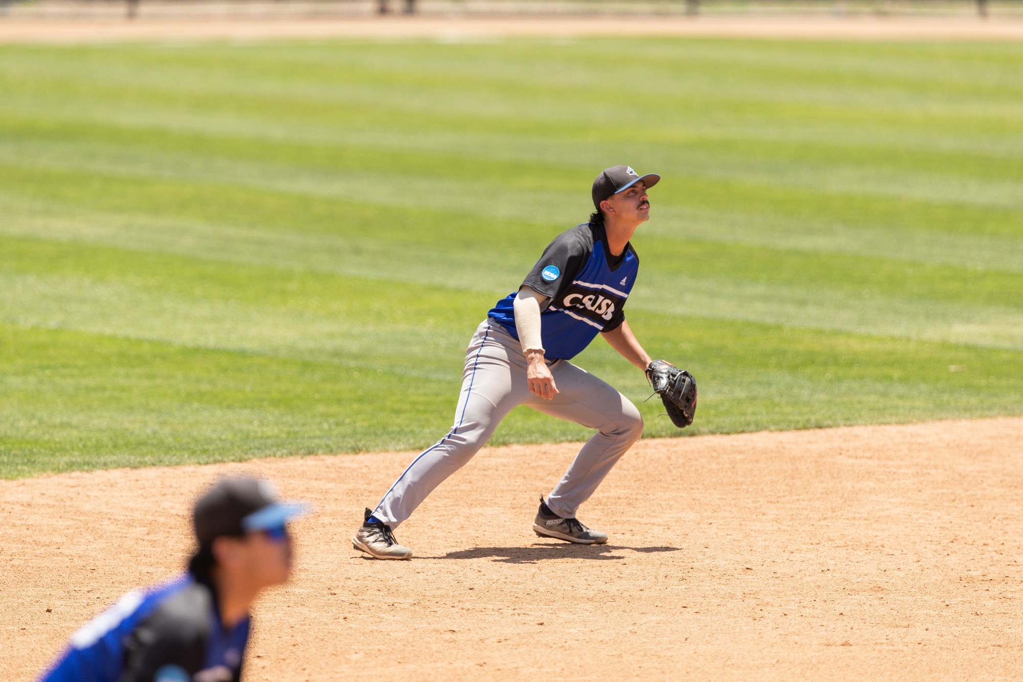 Riley Parker - Baseball - California State University of San Bernardino ...