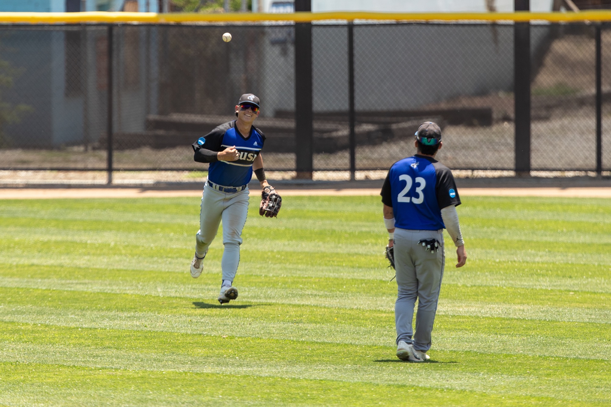 Giovanni Del Negro - Baseball - California State University of San ...