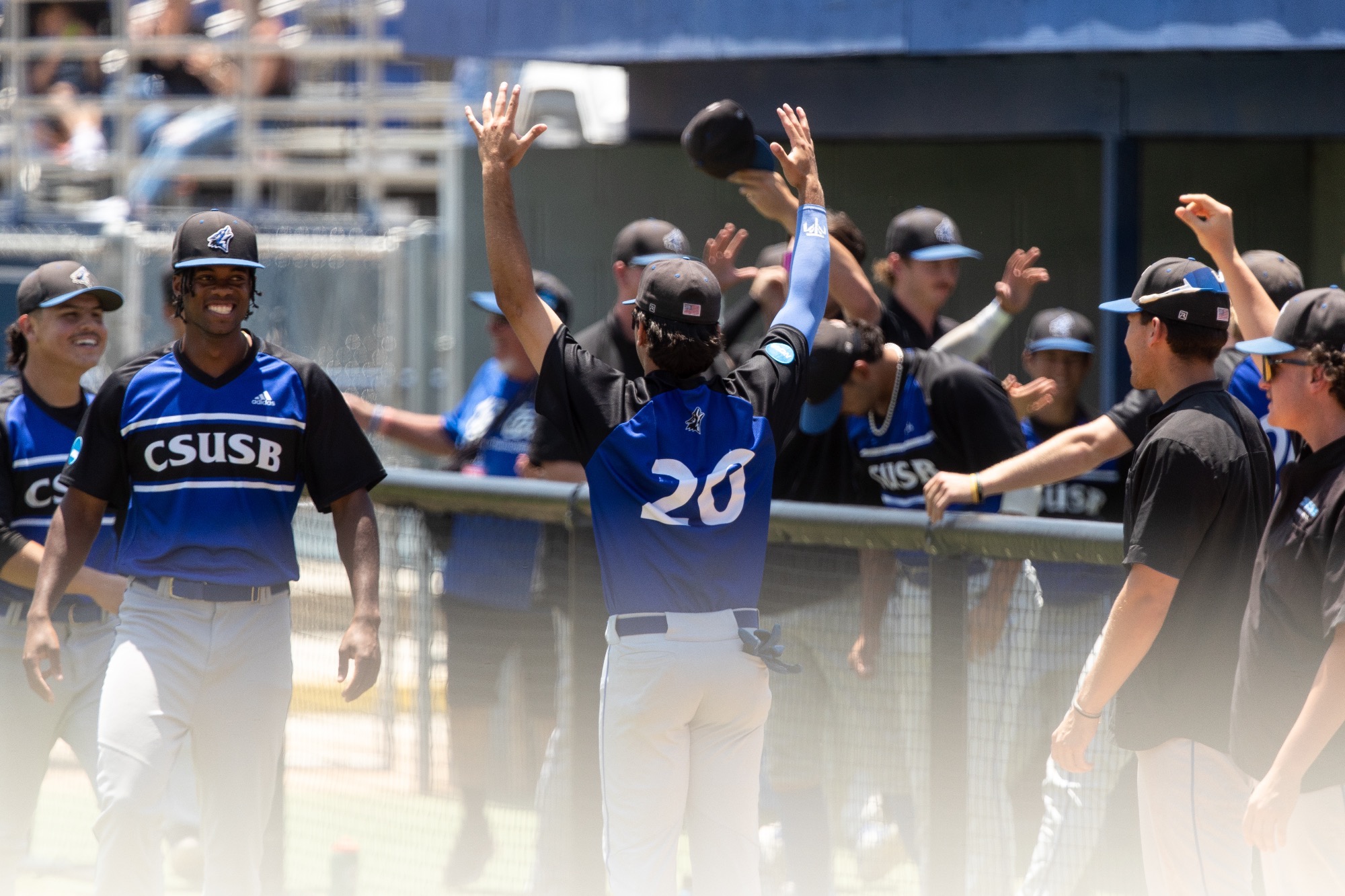 Daniel Garcia Jr. - Baseball - California State University of San ...
