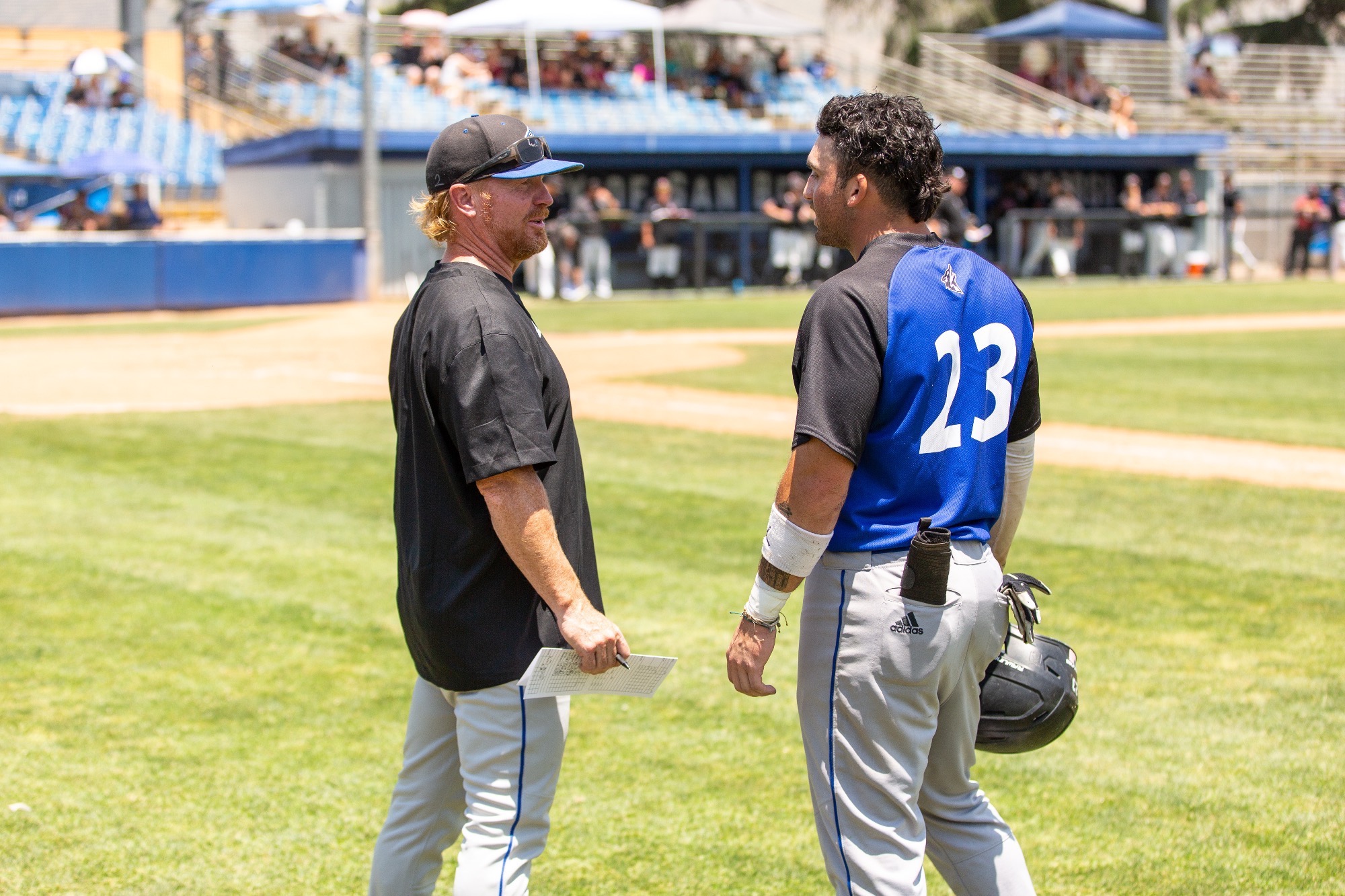 DeShawn Johnson - Baseball - California State University of San ...