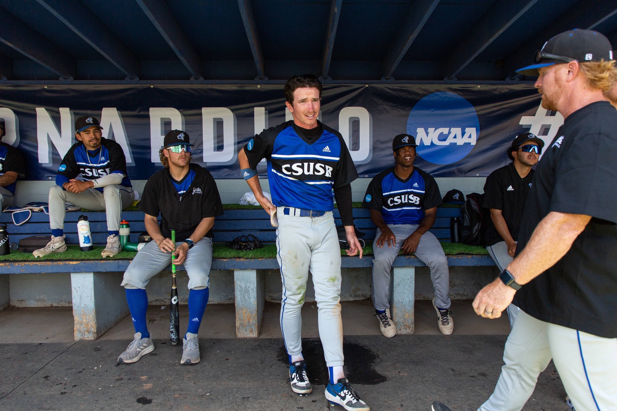 Derek Bogh - Baseball - California State University of San Bernardino ...