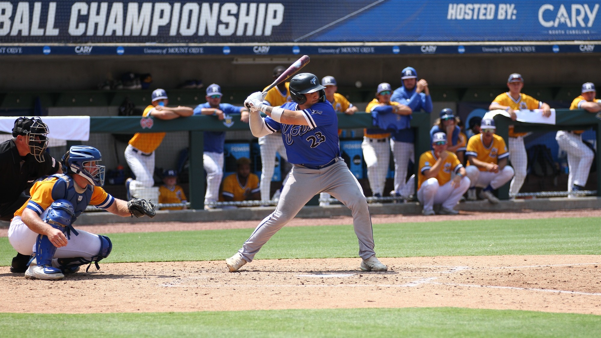 Yotes Come Up Short in World Series Debut - California State University ...