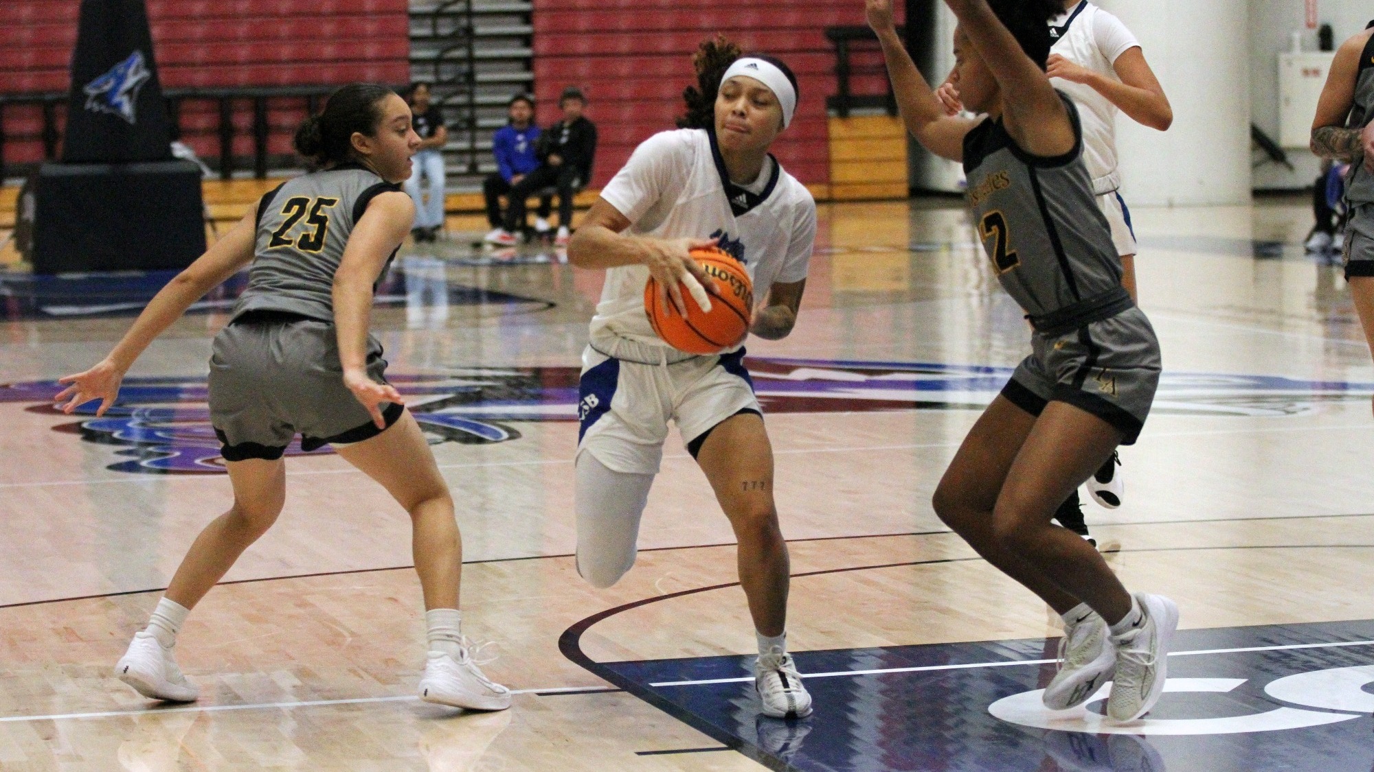 Women's Basketball Falls to Cal State LA - California State University ...